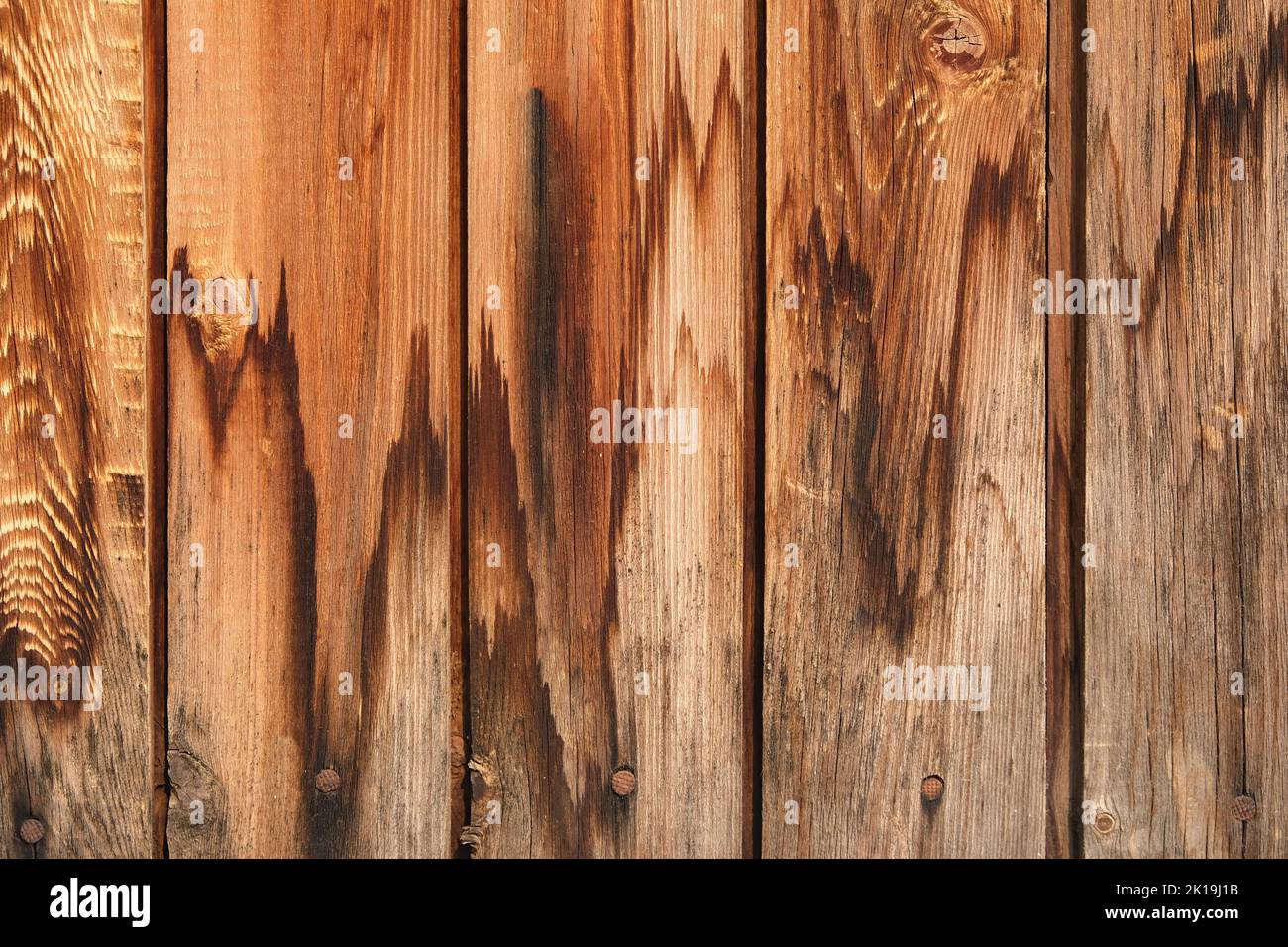 Wooden texture with vertical lines. The texture of wood with knots and ...