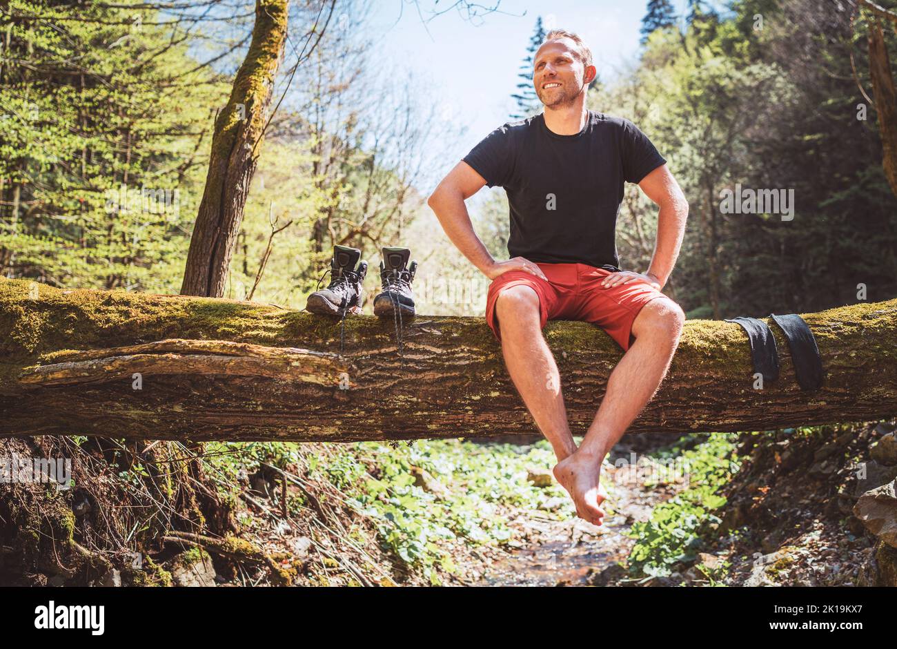 Smiling middle-aged man sitting on the fallen tree log over the ...