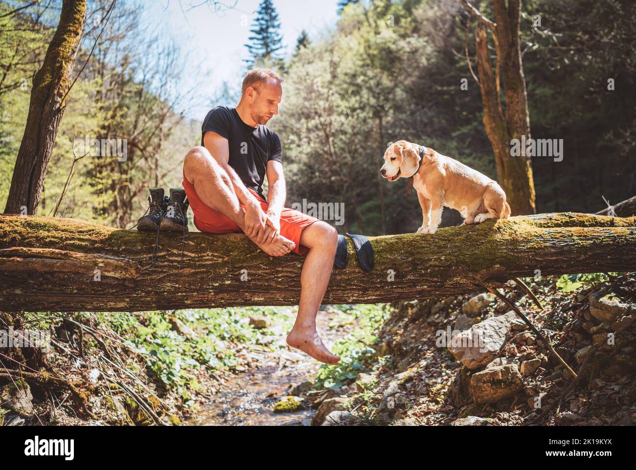 A middle-aged man sitting on the fallen tree log over the mountain ...
