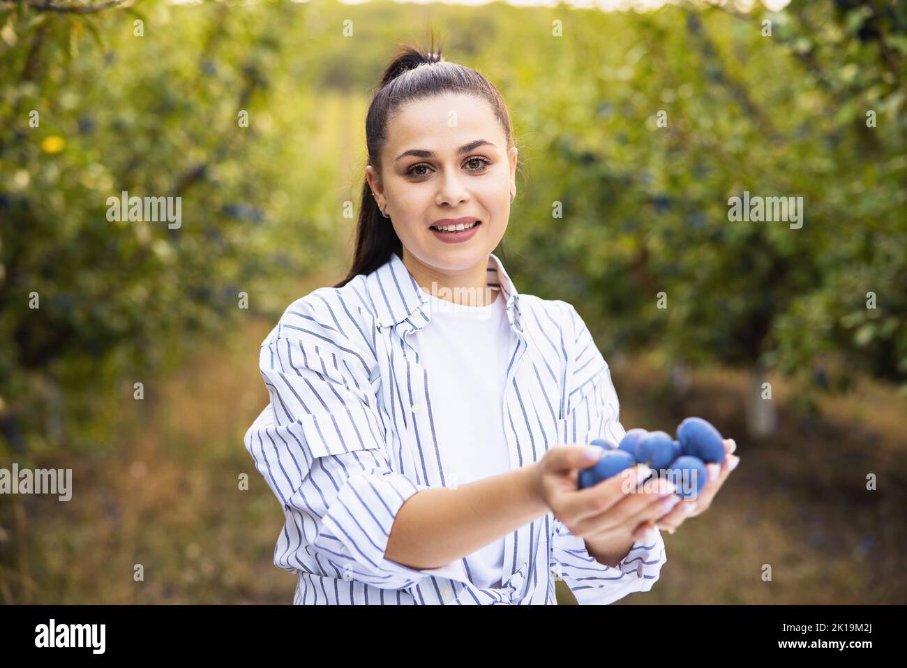 The beautiful girl holds her hands full of plums towards the camera ...