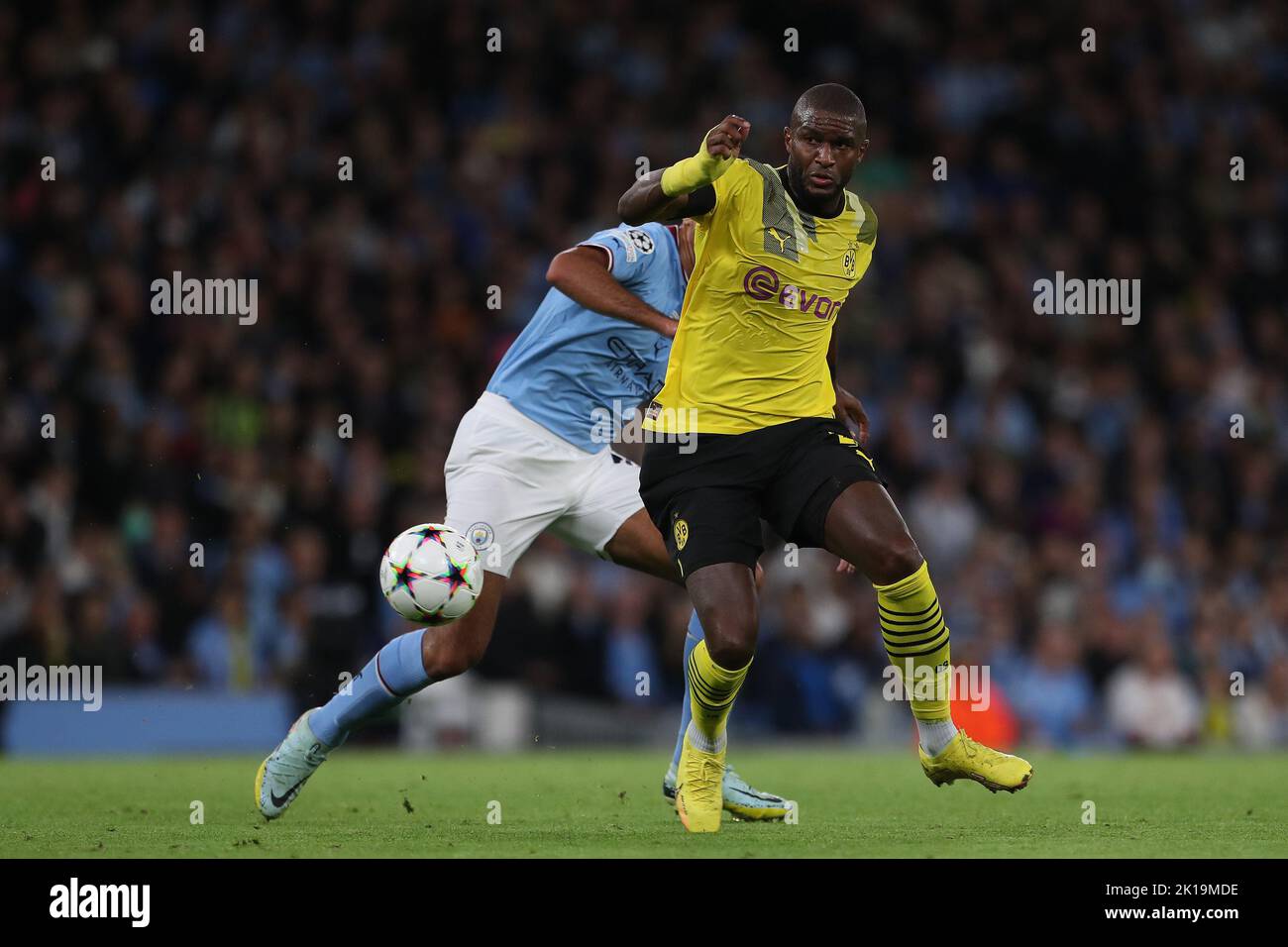 Modeste dortmund hi-res stock photography and images - Alamy