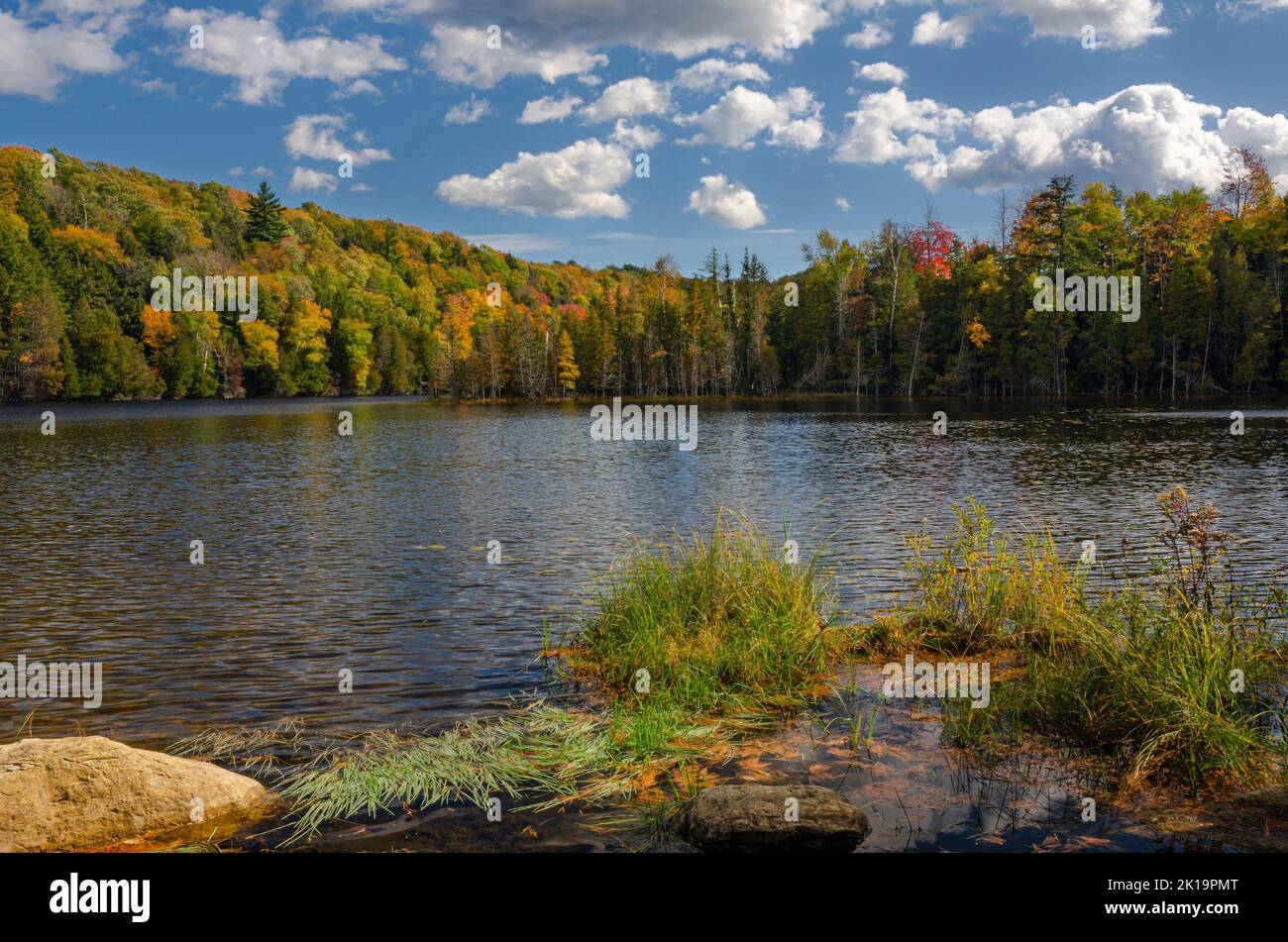 Hugoboom hi-res stock photography and images - Alamy