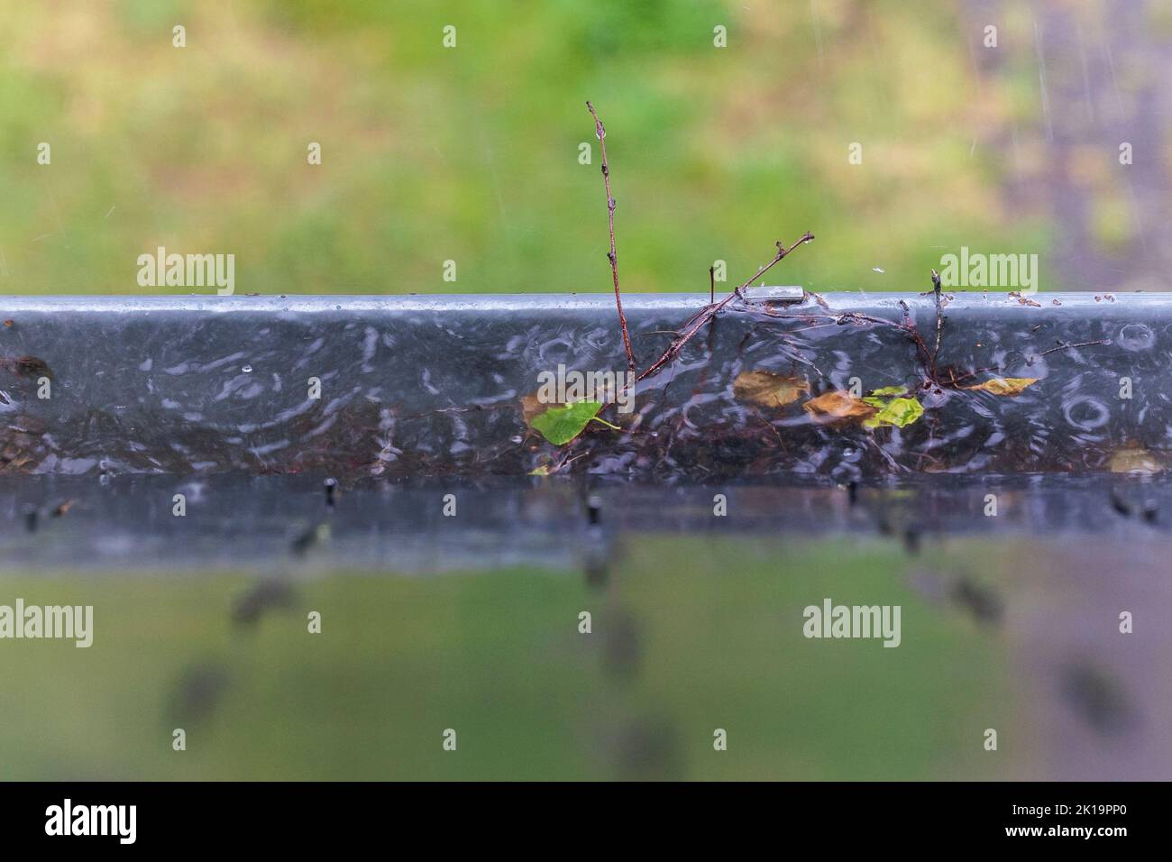 A portrait of a roof gutter overflowing with water during a rainy day ...