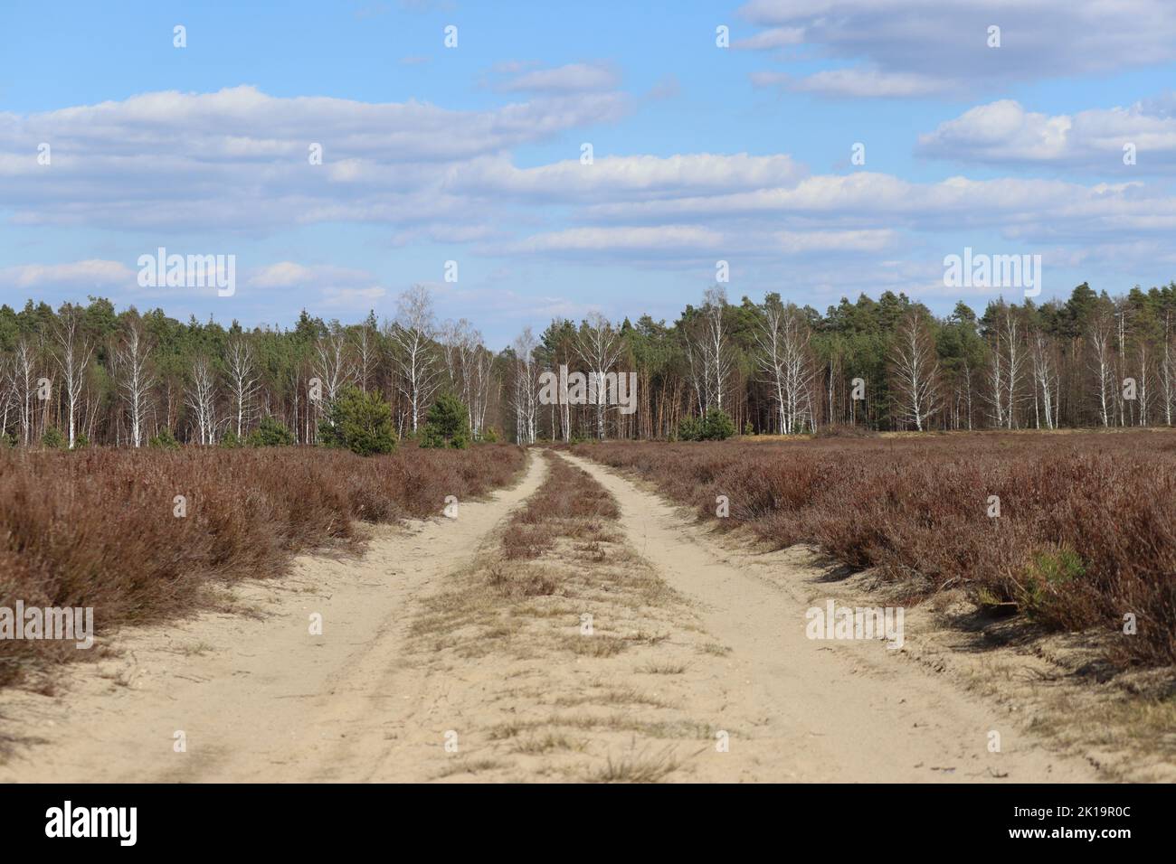 Sandy grass field hi-res stock photography and images - Alamy