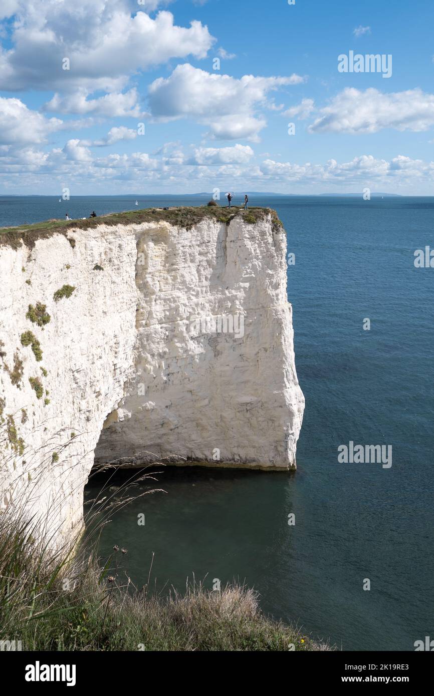 Old Harry Rocks Poole Dorset England Stock Photo - Alamy