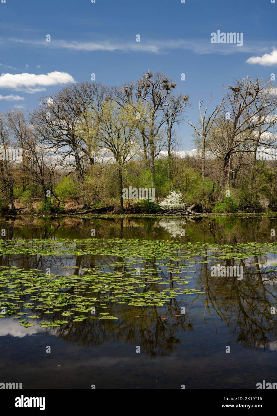 Kent lake michigan hi-res stock photography and images - Alamy