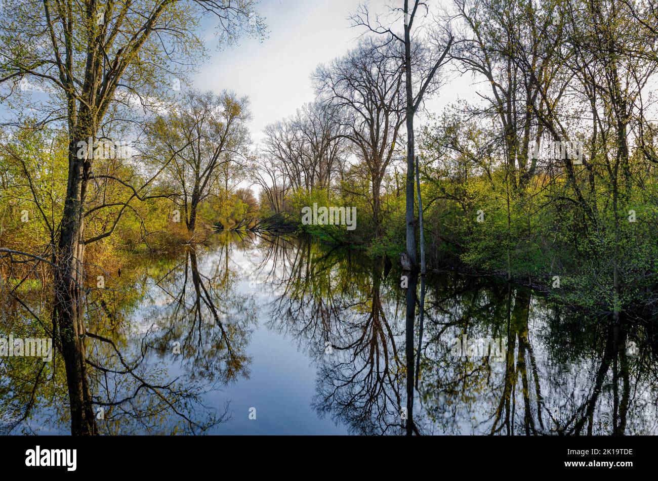 Evening light illuminates the Portage River at a high water level in ...