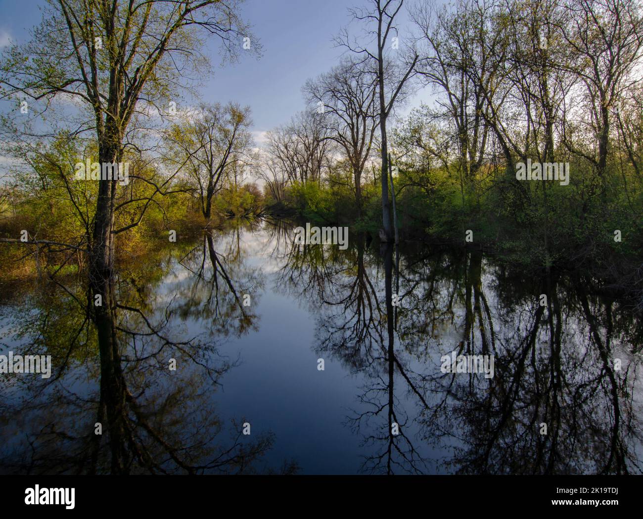 The Portage River runs along the northern edge of the Phyllis Haehnle ...