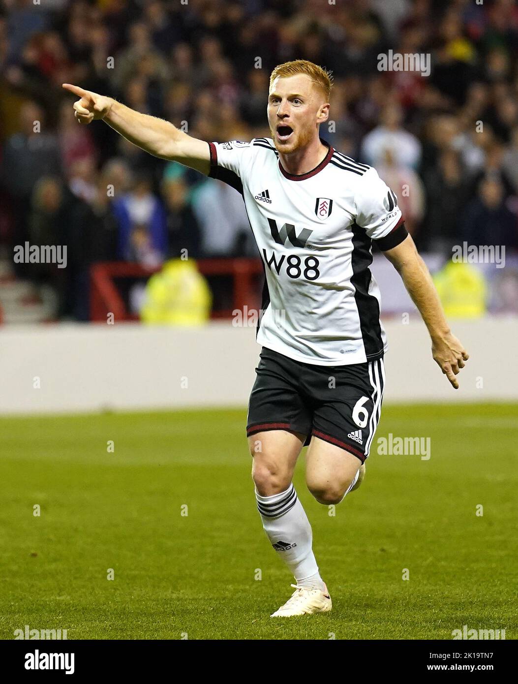 Fulham's Harrison Reed celebrates scoring their side's third goal of ...