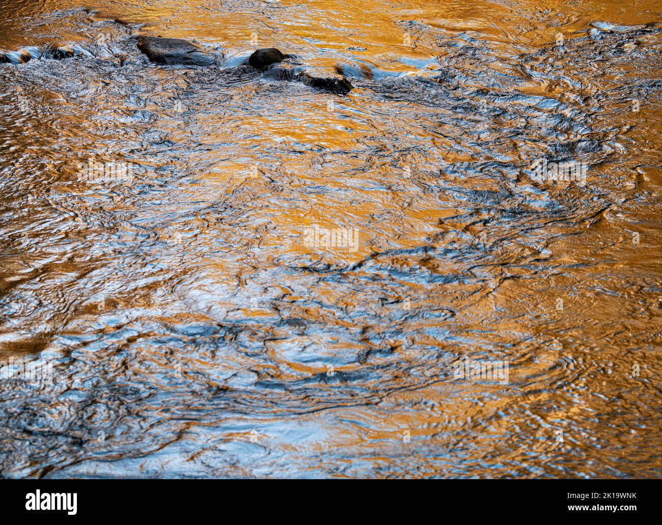 Late gold light reflects in the waters of the Little River along Laurel ...