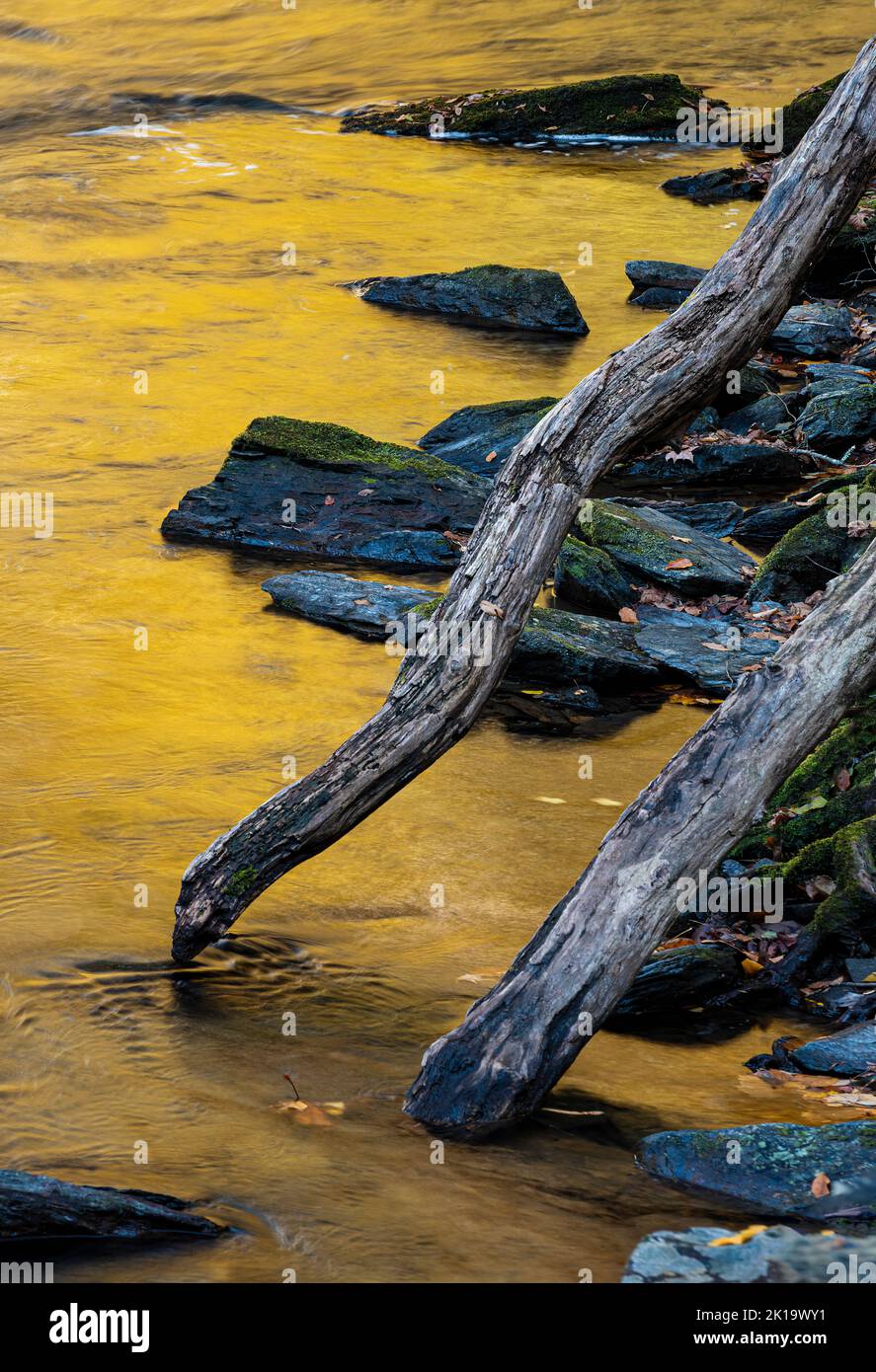 Late gold light reflects in the waters of the Little River along Laurel ...