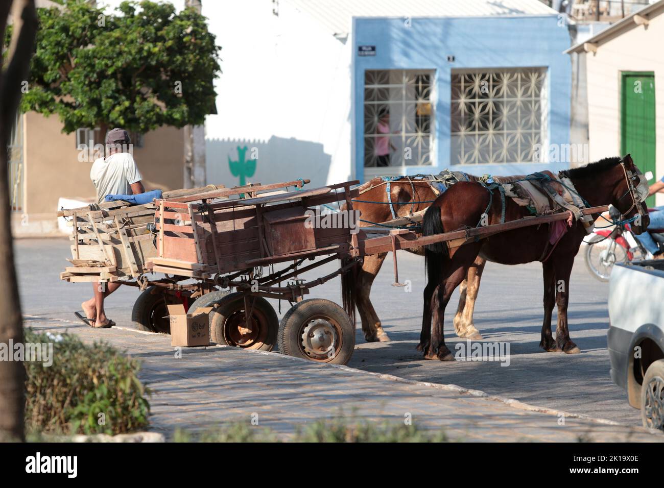 santana, bahia, brazil - september 13, 2022: animal-drawn cart for ...
