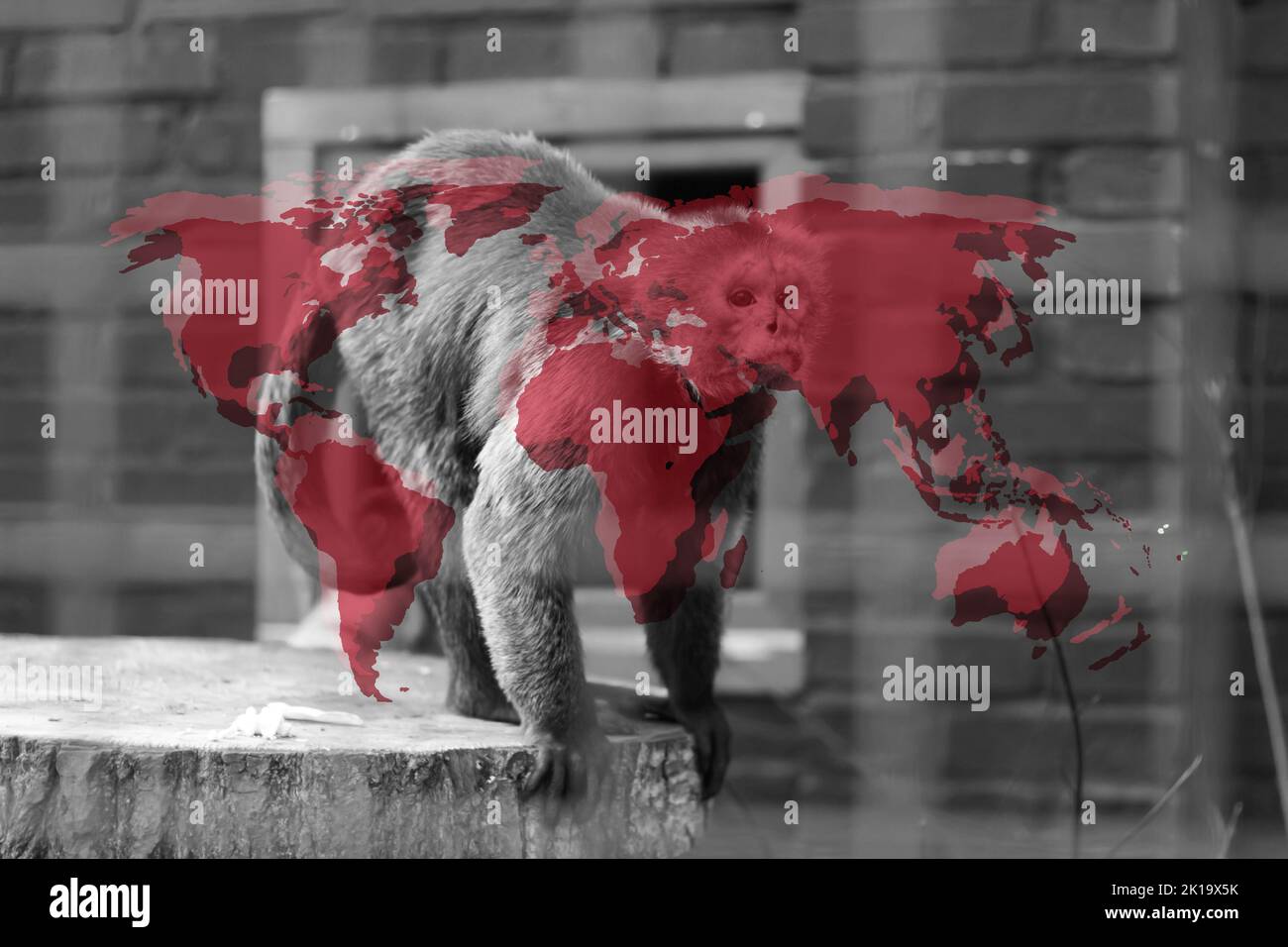 Monkeypox new disease dangerous over the world. Monkeypox virus ...