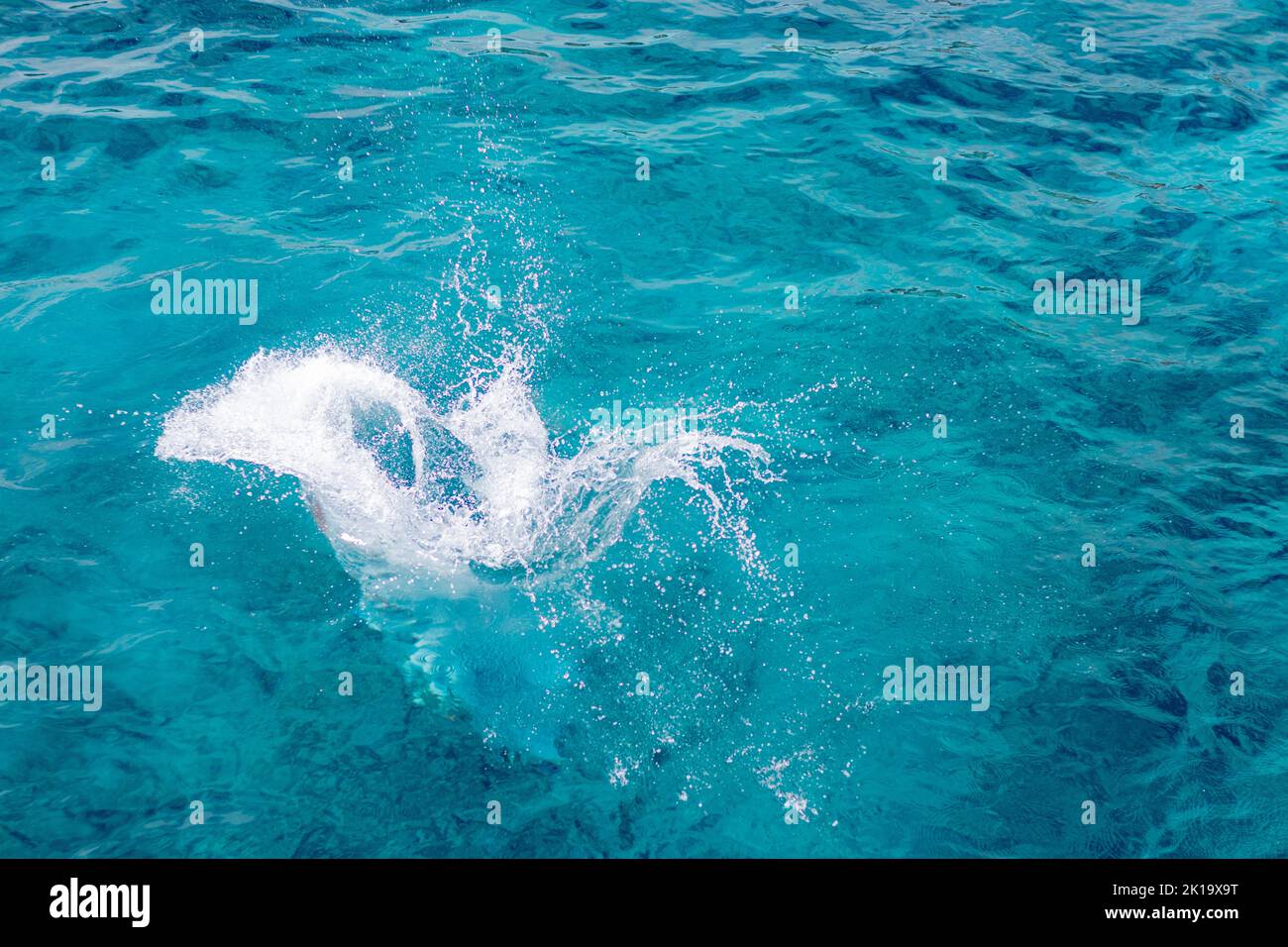 Splashes of blue, sea water with foam bubbles. A splash of nature on a ...