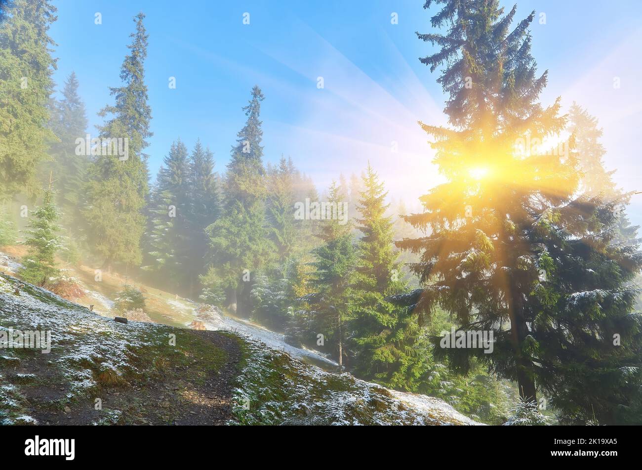 autumn fog landscape forest mountains, trees view mist Stock Photo - Alamy