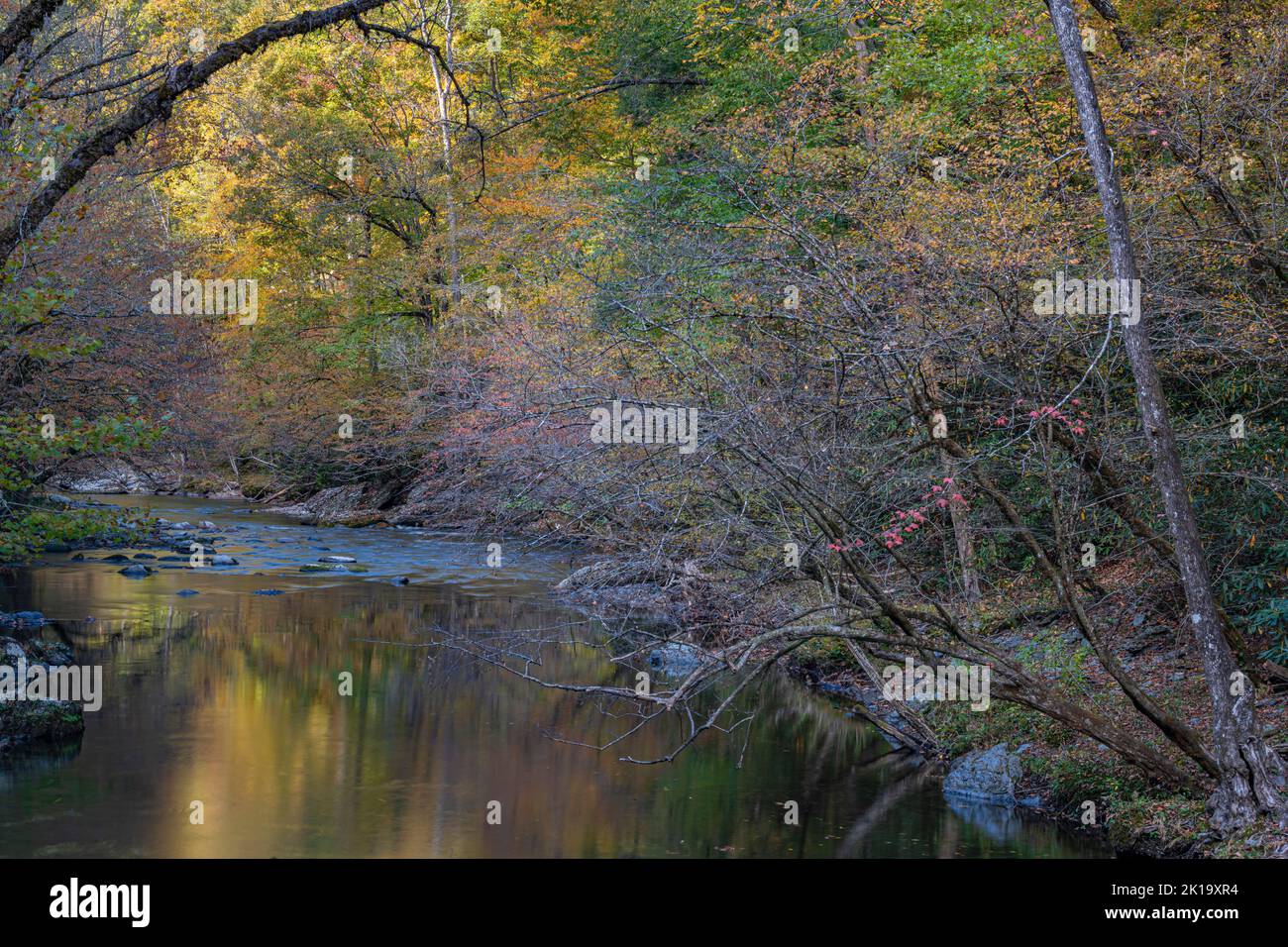 Autumn Color and late light are reflected in the waters of the Little ...