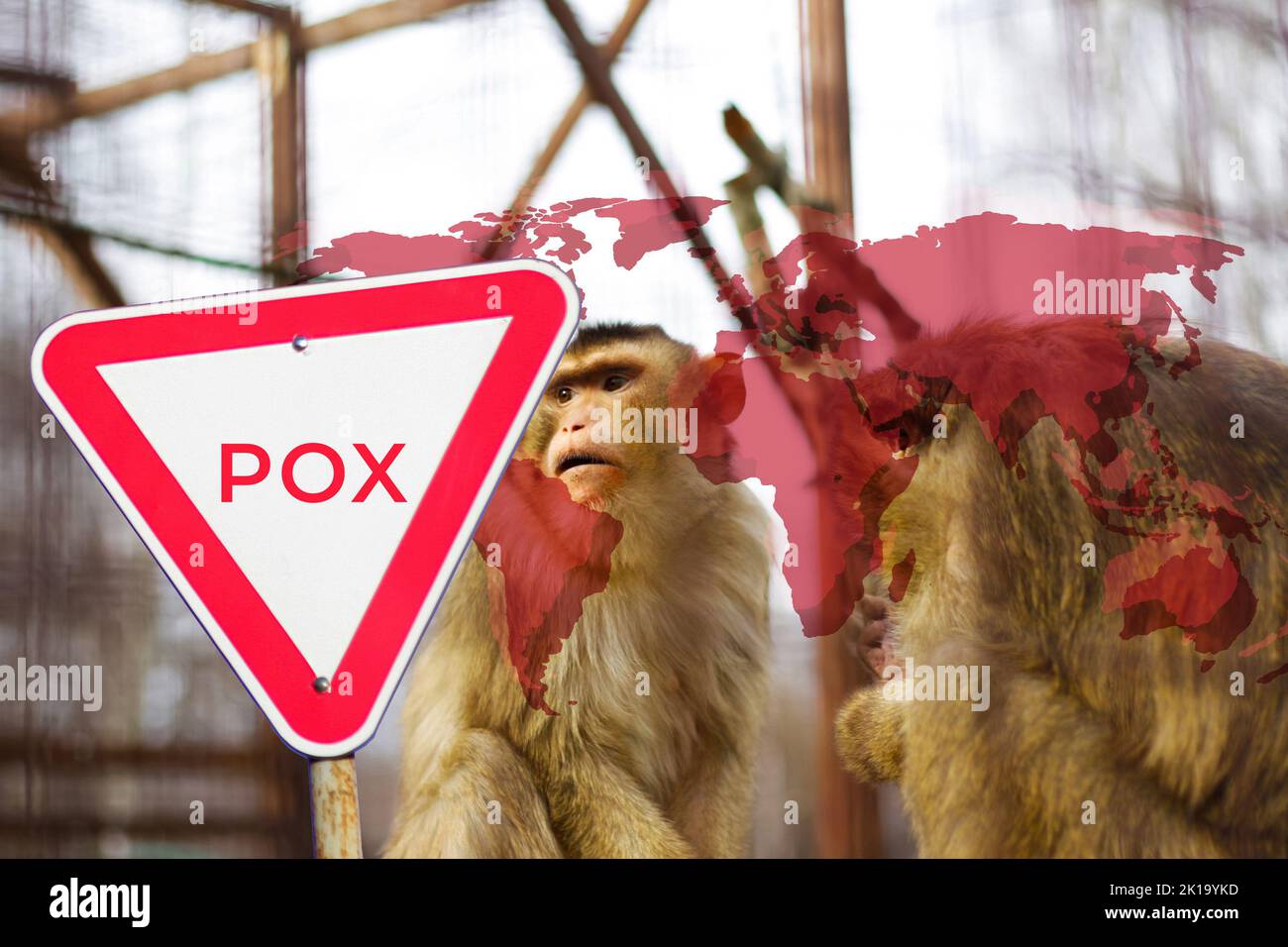 Monkeypox new disease dangerous over the world. Monkeypox virus ...