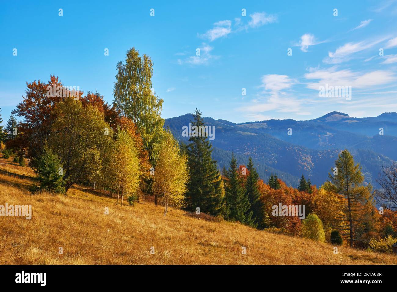 The lawn is enlightened by the sun rays. Majestic autumn rural ...