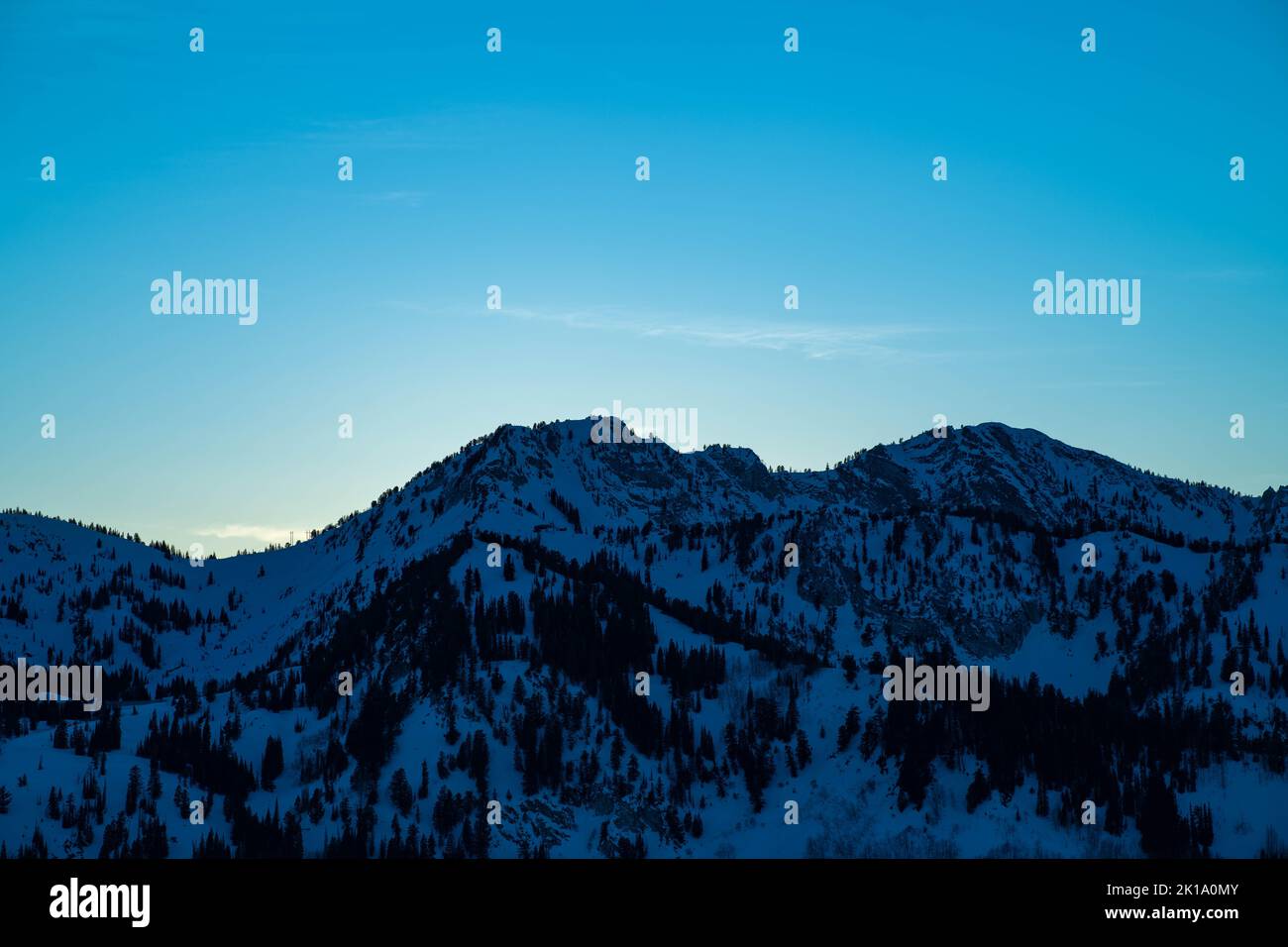 A beautiful landscape of trees on a snowy hill under shadow in winter ...