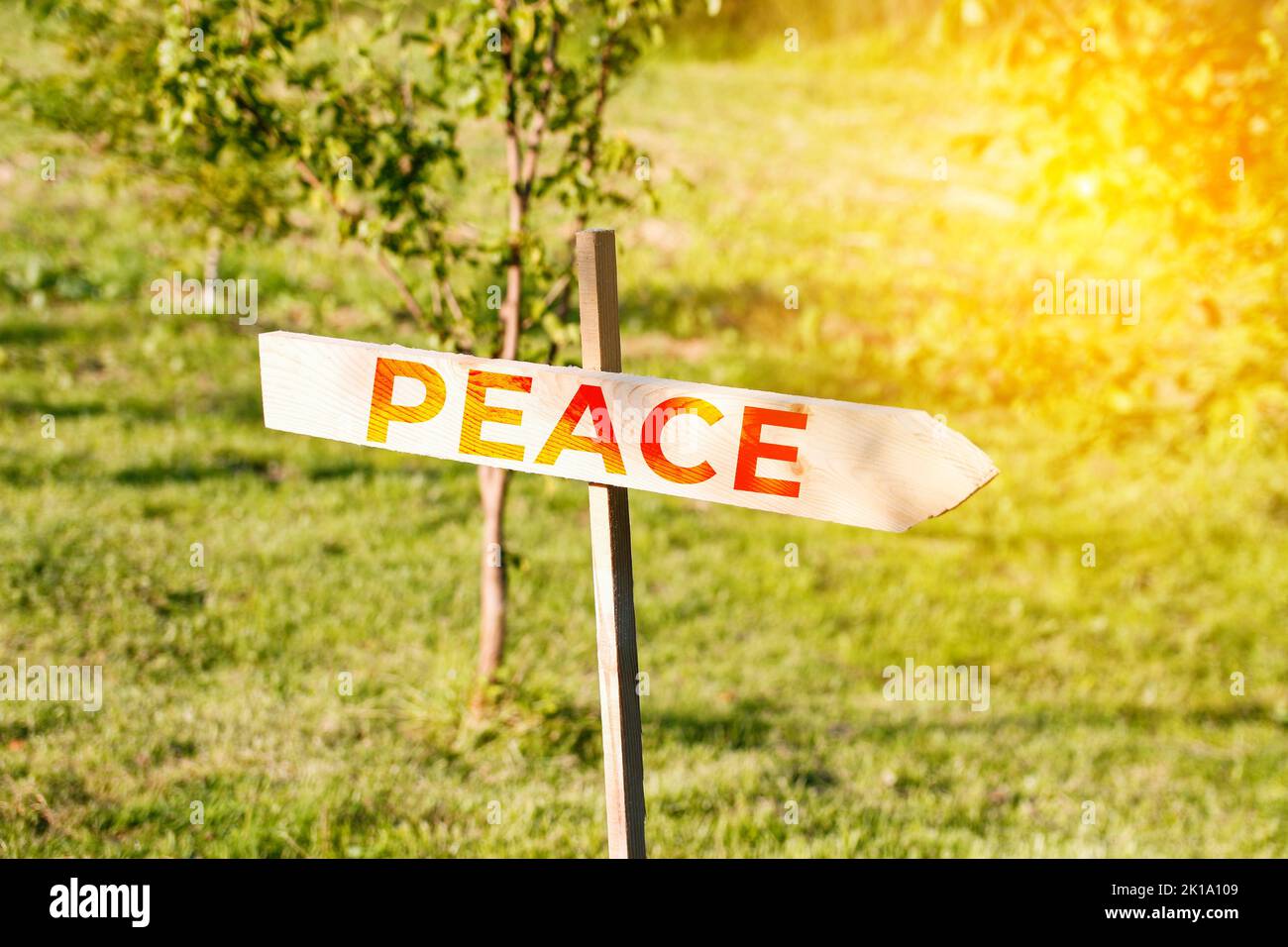 Defocus wooden sign arrow in green nature background. Word peace ...