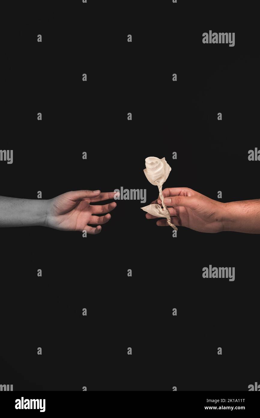 A human hand giving a flower to another human hand on isolated black ...
