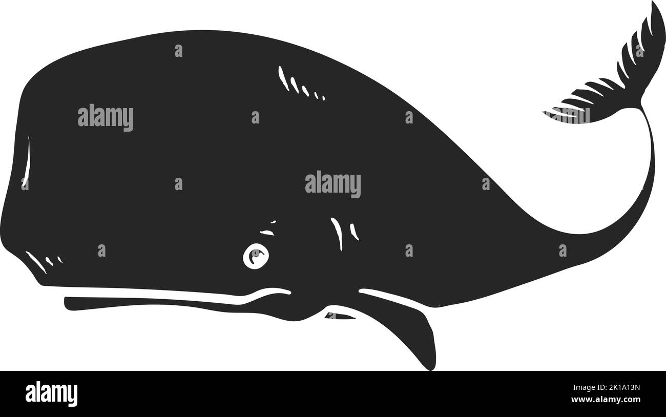 Hand drawn whale vector illustration Stock Vector Image & Art - Alamy