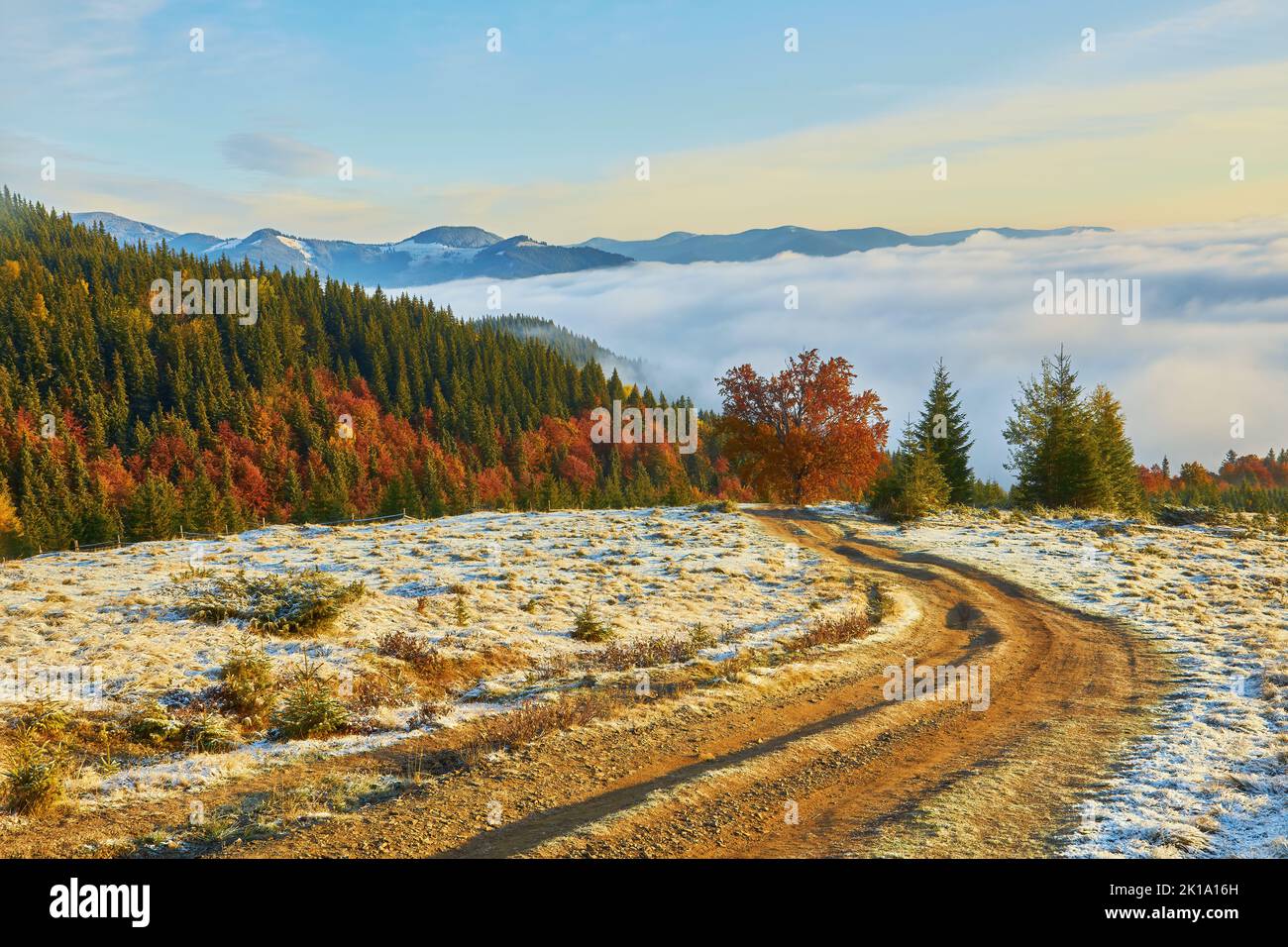 The lawn is enlightened by the sun rays. Majestic autumn rural ...