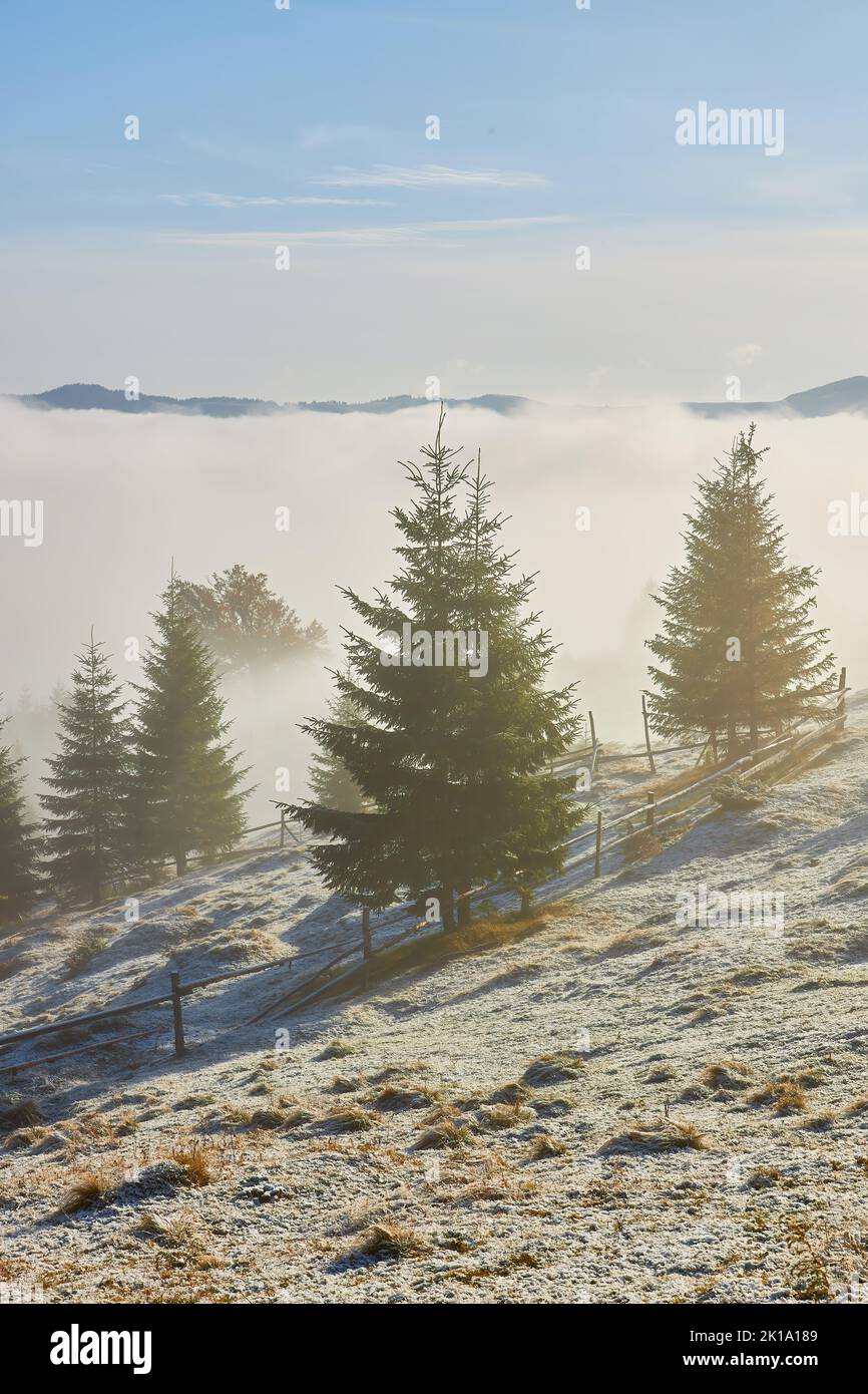 autumn fog landscape forest mountains, trees view mist Stock Photo - Alamy