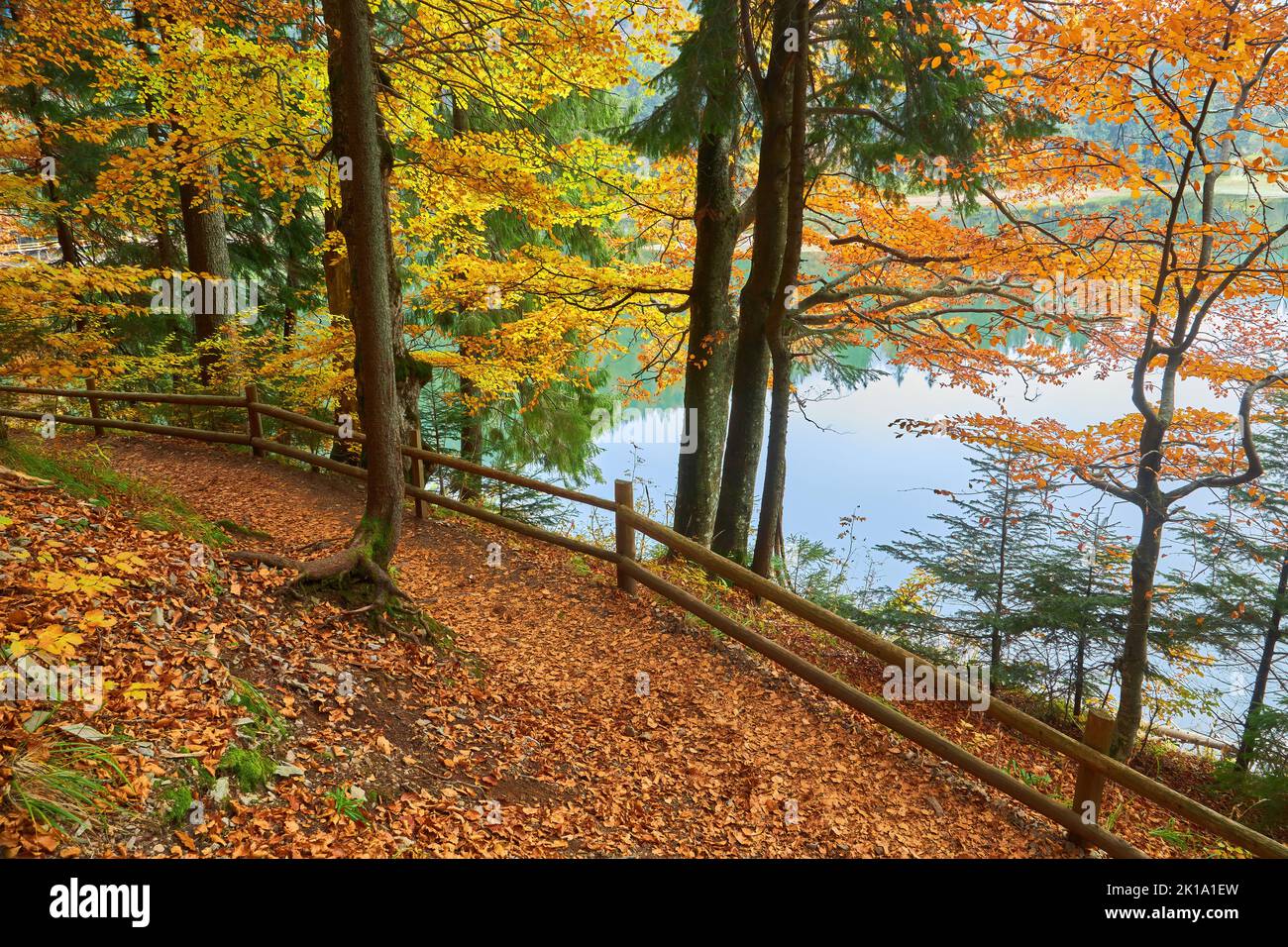A path along the lake in the autumn forest. Forest path to lake shore ...