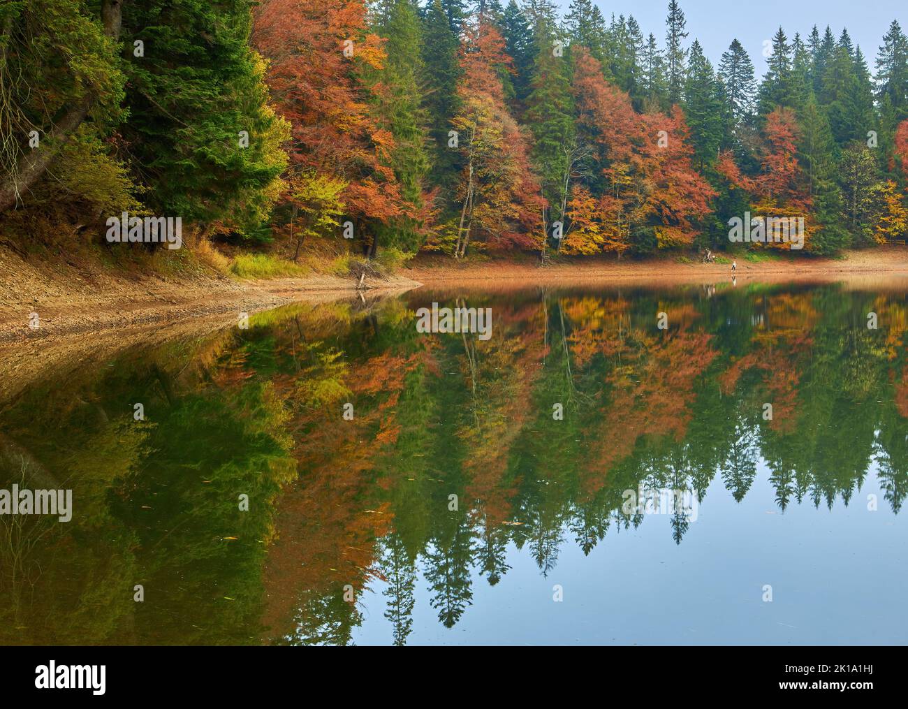 Synevyr national nature park hi-res stock photography and images - Alamy