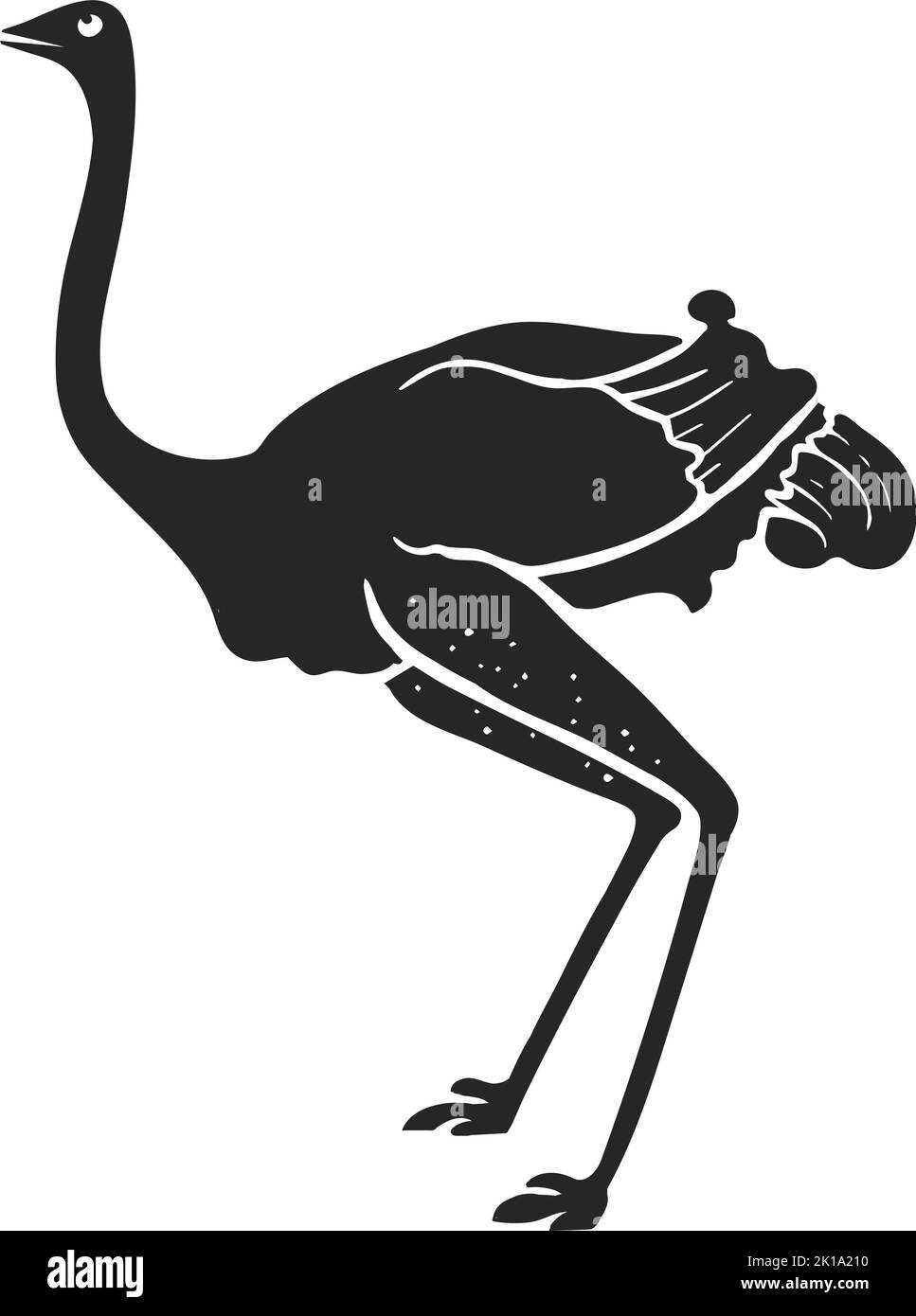 Hand drawn icon ostrich. vector illustration Stock Vector Image & Art ...