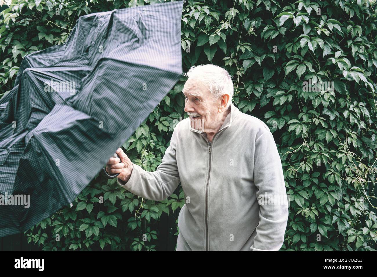 An old 88-year-old man with an umbrella on a background of green ...