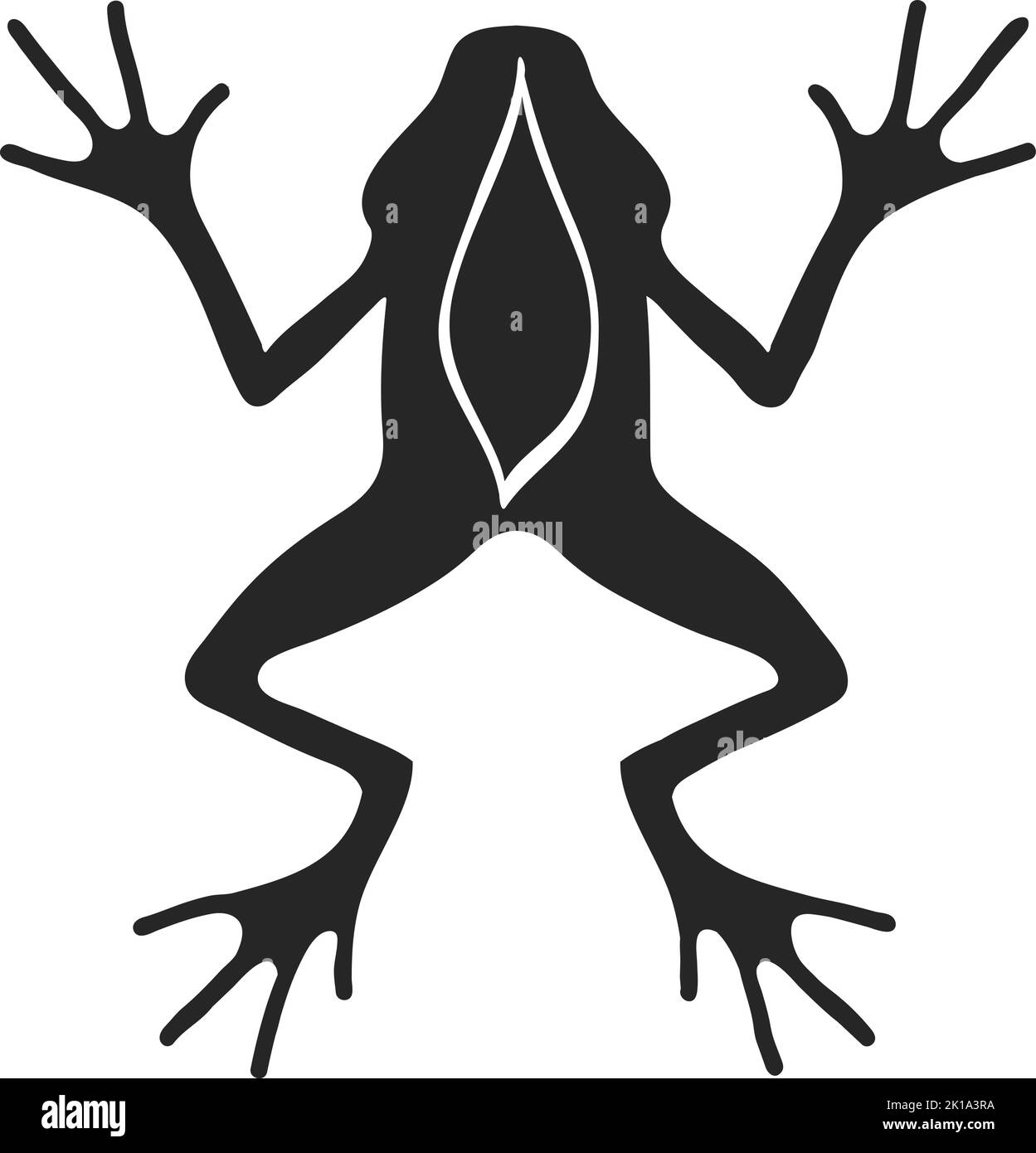 Hand drawn Lab frog vector illustration Stock Vector Image & Art - Alamy