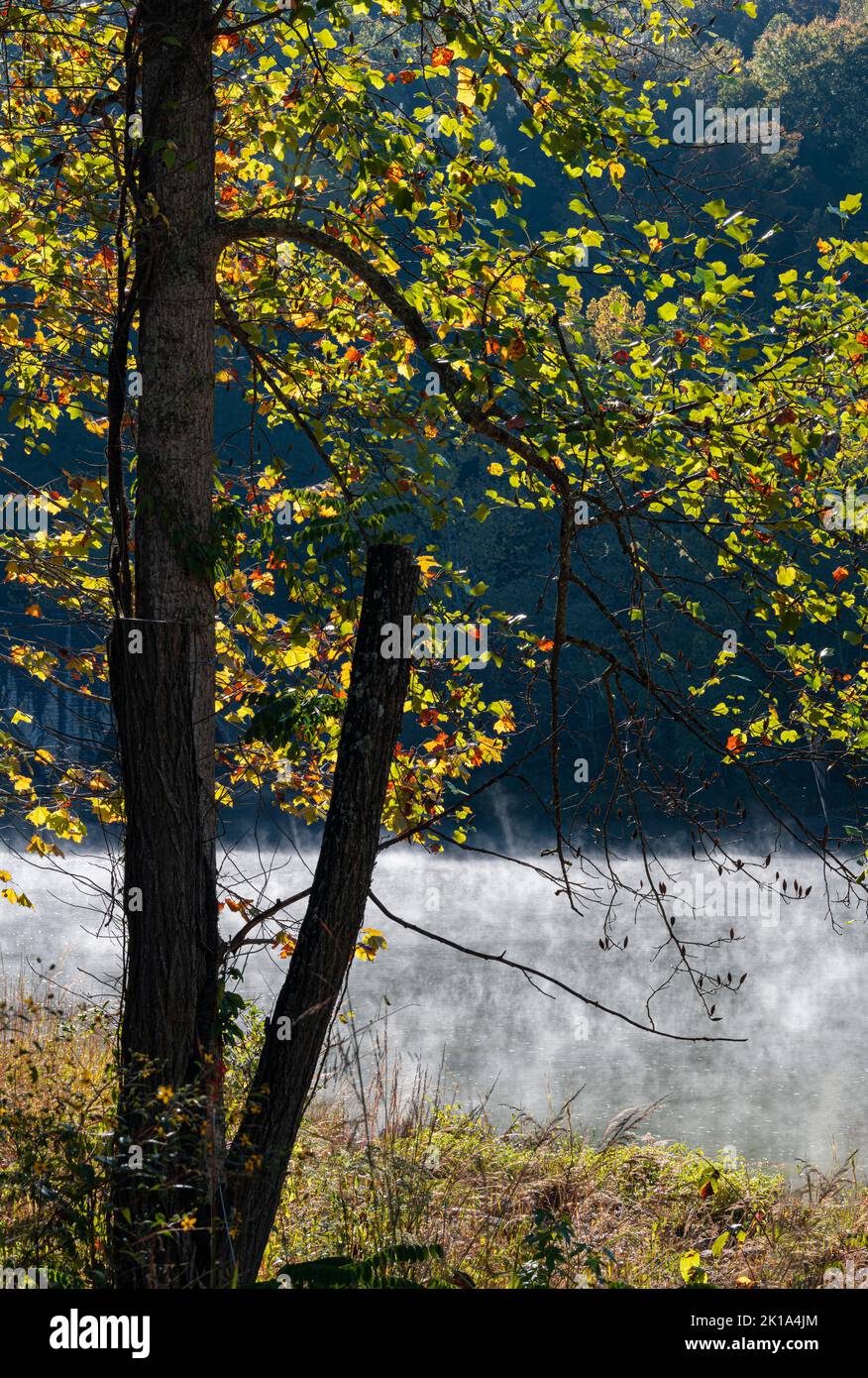 Mist rises from warm water into cool air, as autumn color starts to ...