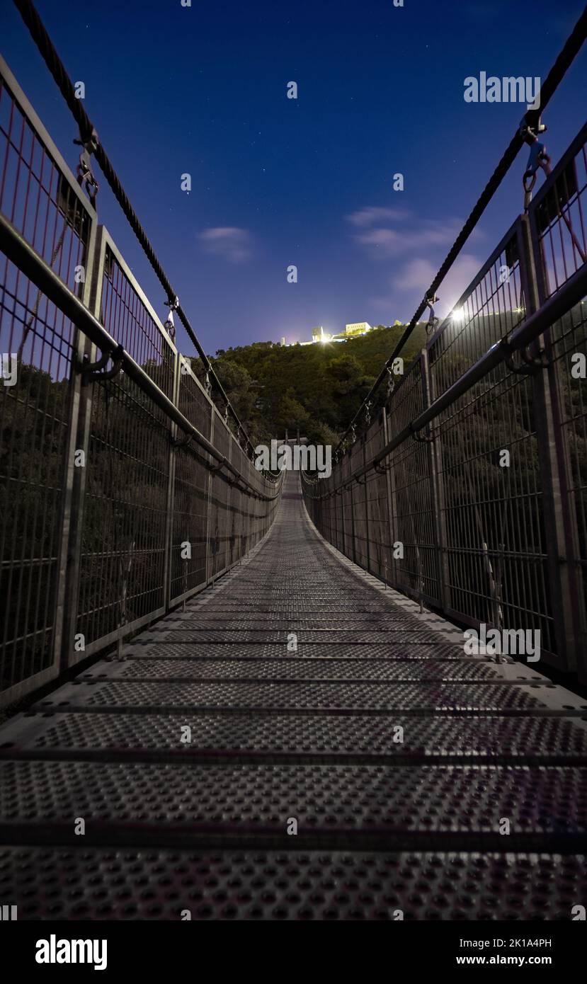 A long hanging bridge heading into a forest, vertical shot Stock Photo ...
