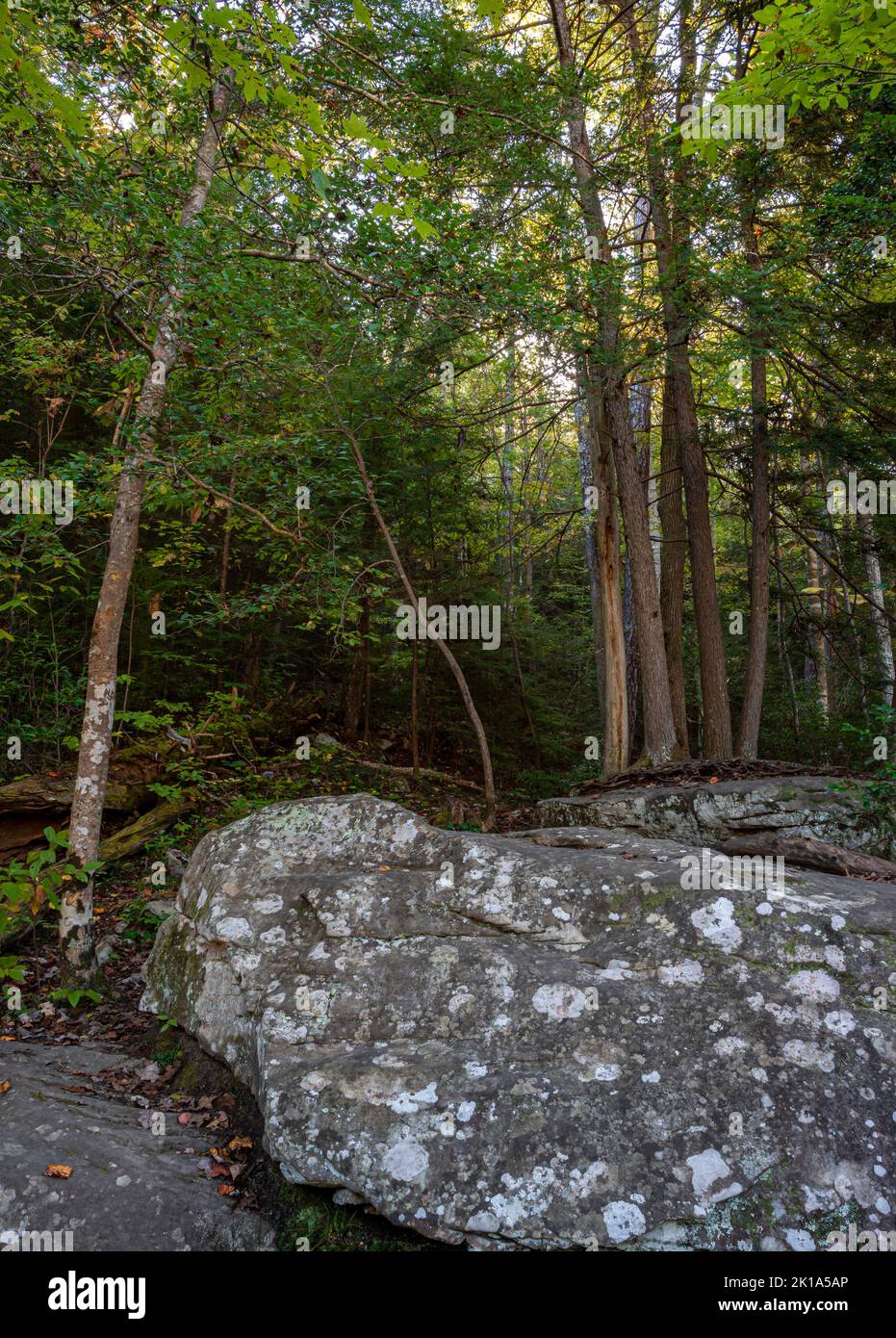 Large boulders and rocks line the Cumberland River canyon, Cumberland ...