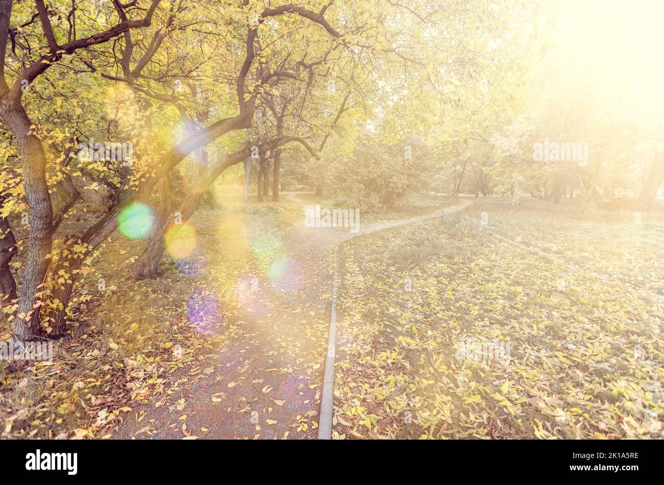 Fall Scene, curve path in city park in autumn. The photo was taken at ...