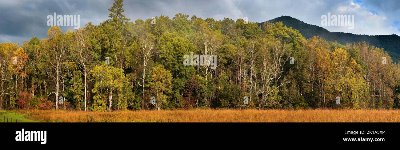 The forest edges a meadow in Cades Cove, Great Smoky Mountains National ...