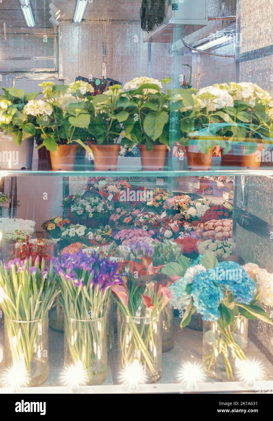 Flower shop window. Glass shop window with flowers and reflection of ...