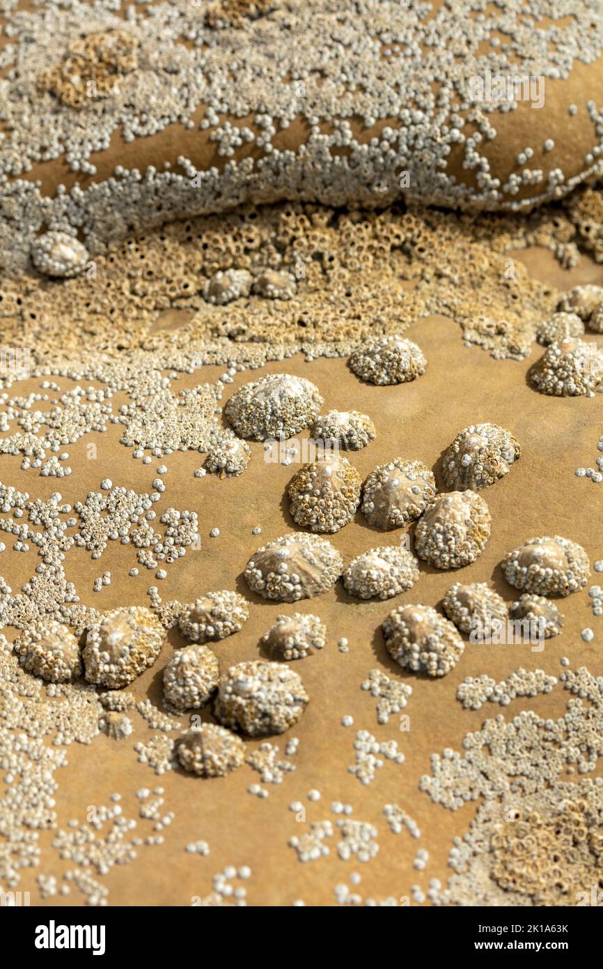 Interesting found still-life of natural rock patterns on Rock a Nor ...