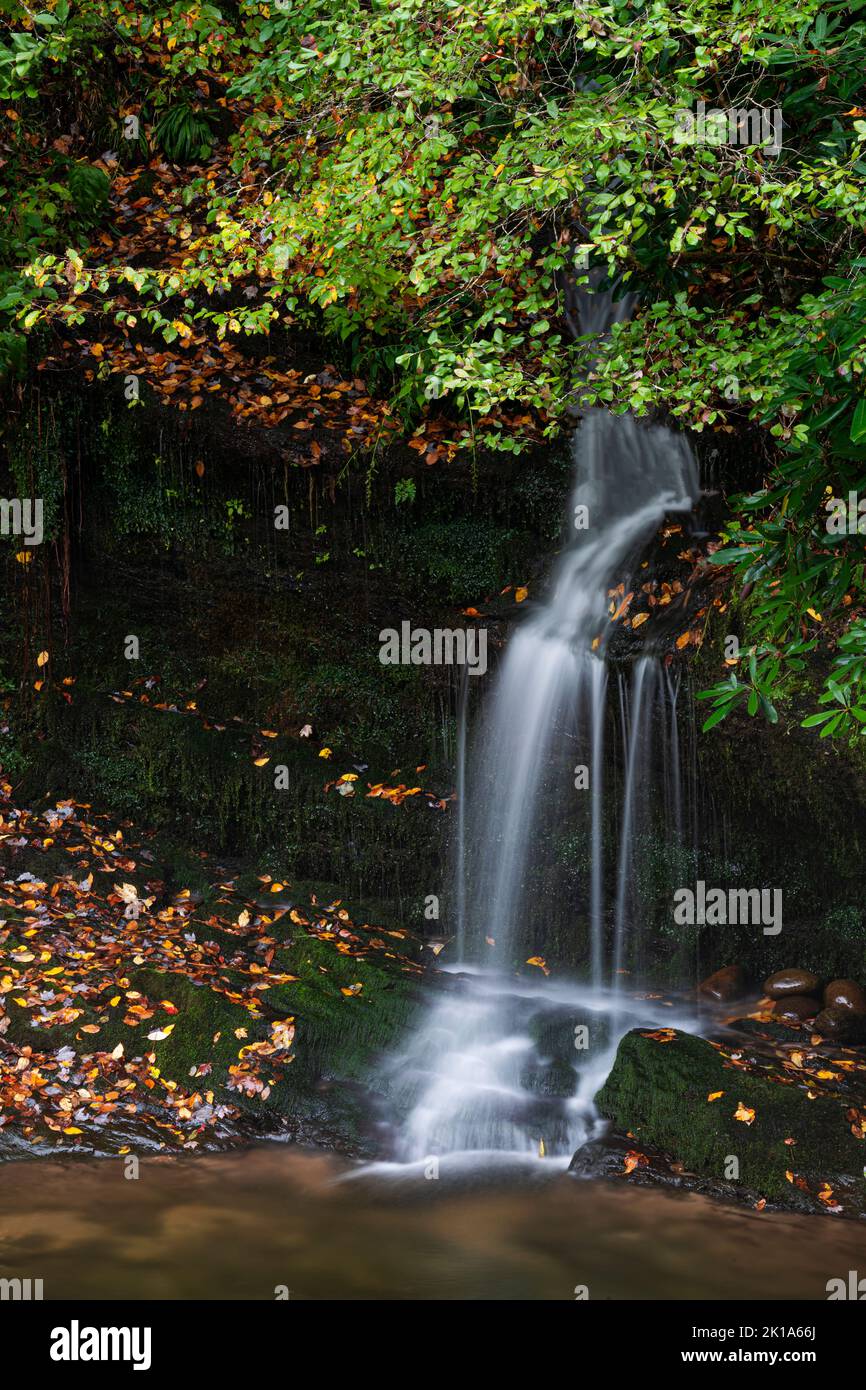 A small waterfall along Laurel Canyon Road flows into the Little River ...