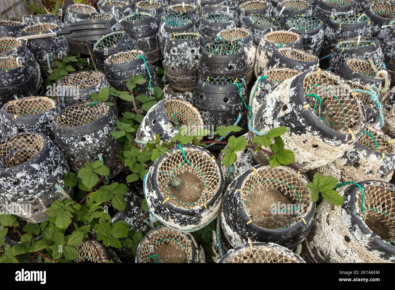 Age-defying, digital age, premium quality, eye-catching, stand-out ...