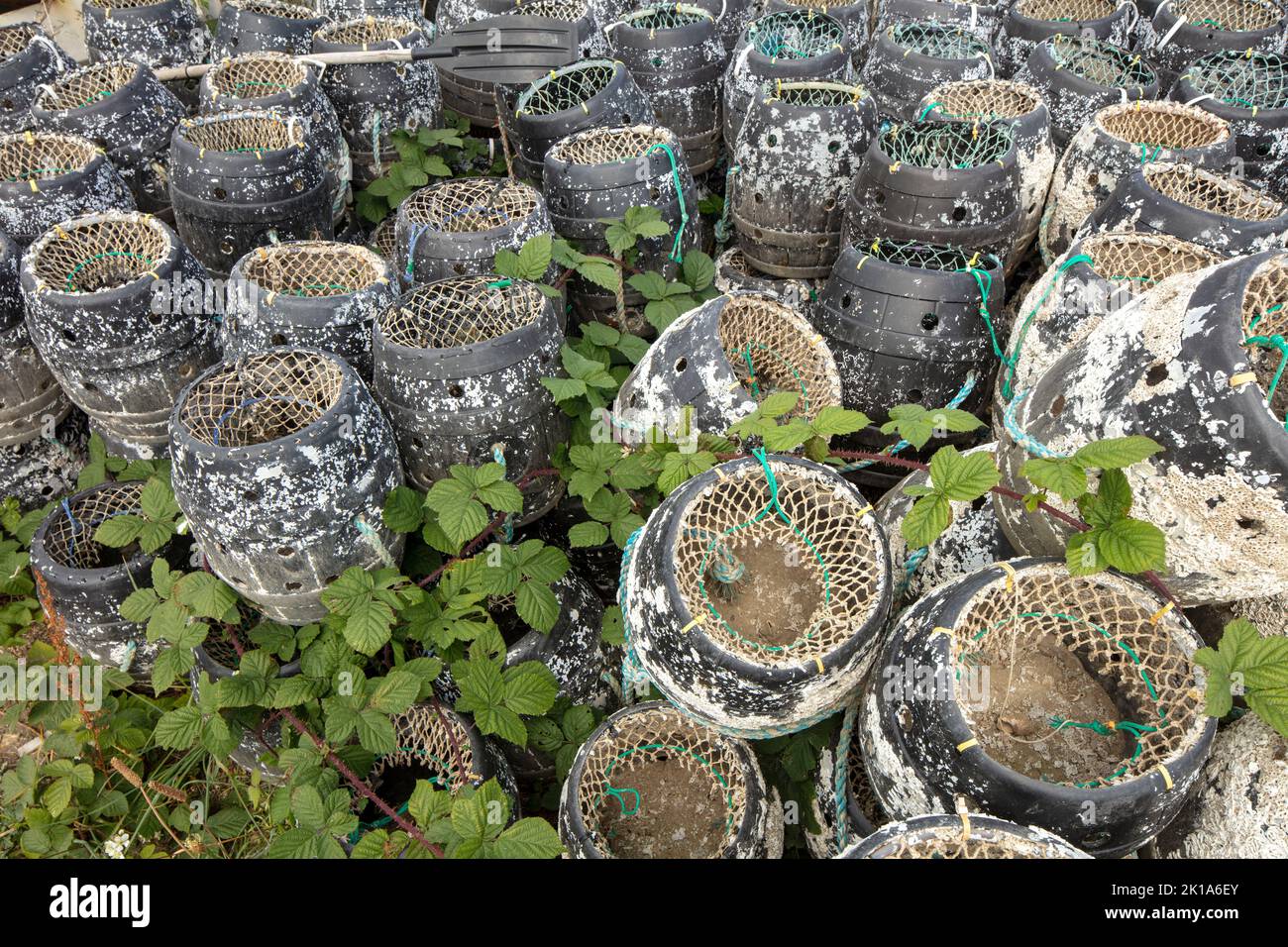 Age-defying, digital age, premium quality, eye-catching, stand-out ...