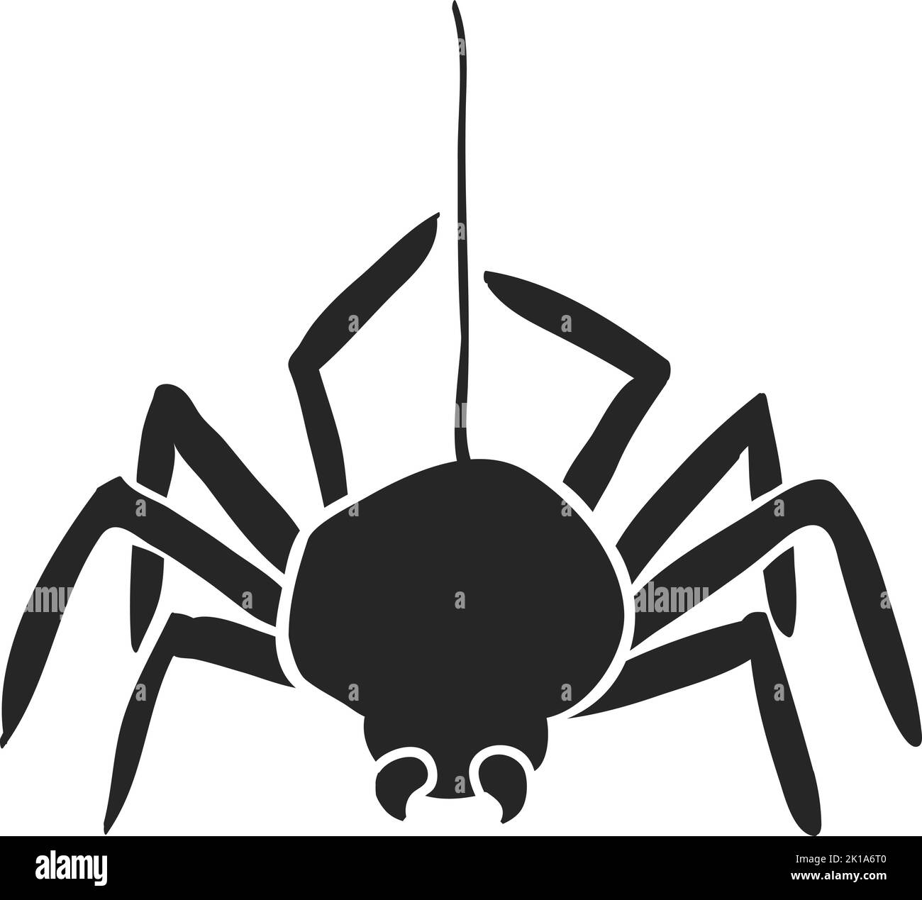 Hand drawn Spider vector illustration Stock Vector Image & Art - Alamy