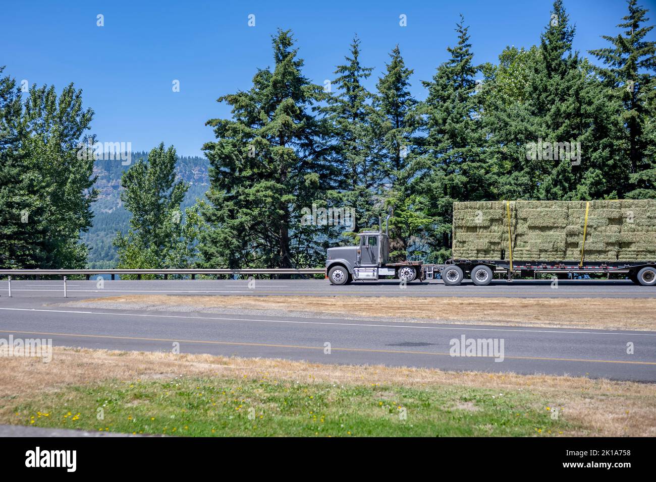 Classic style bonnet gray big rig semi truck tractor with vertical ...