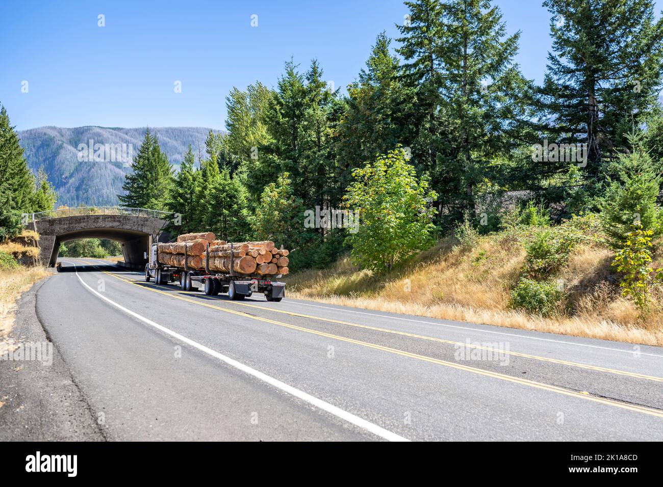 Classic Logging day cab big rig semi truck tractor transporting wood ...