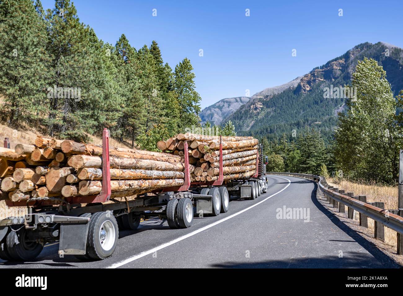 Classic day cab big rig semi truck tractor transporting wood logs on ...