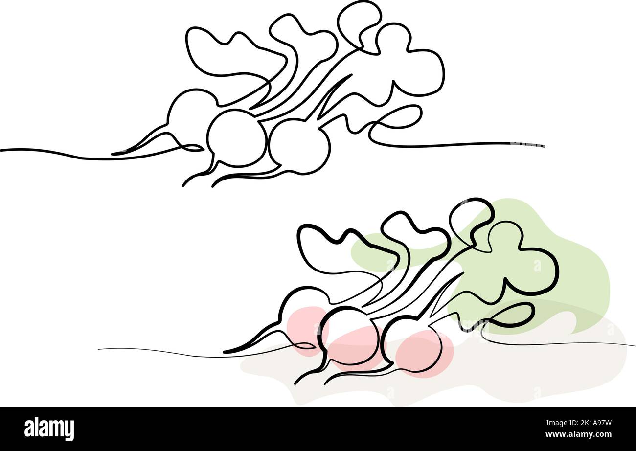 Red radish bundle, bunch. Continuous One line drawing art. Vector ...