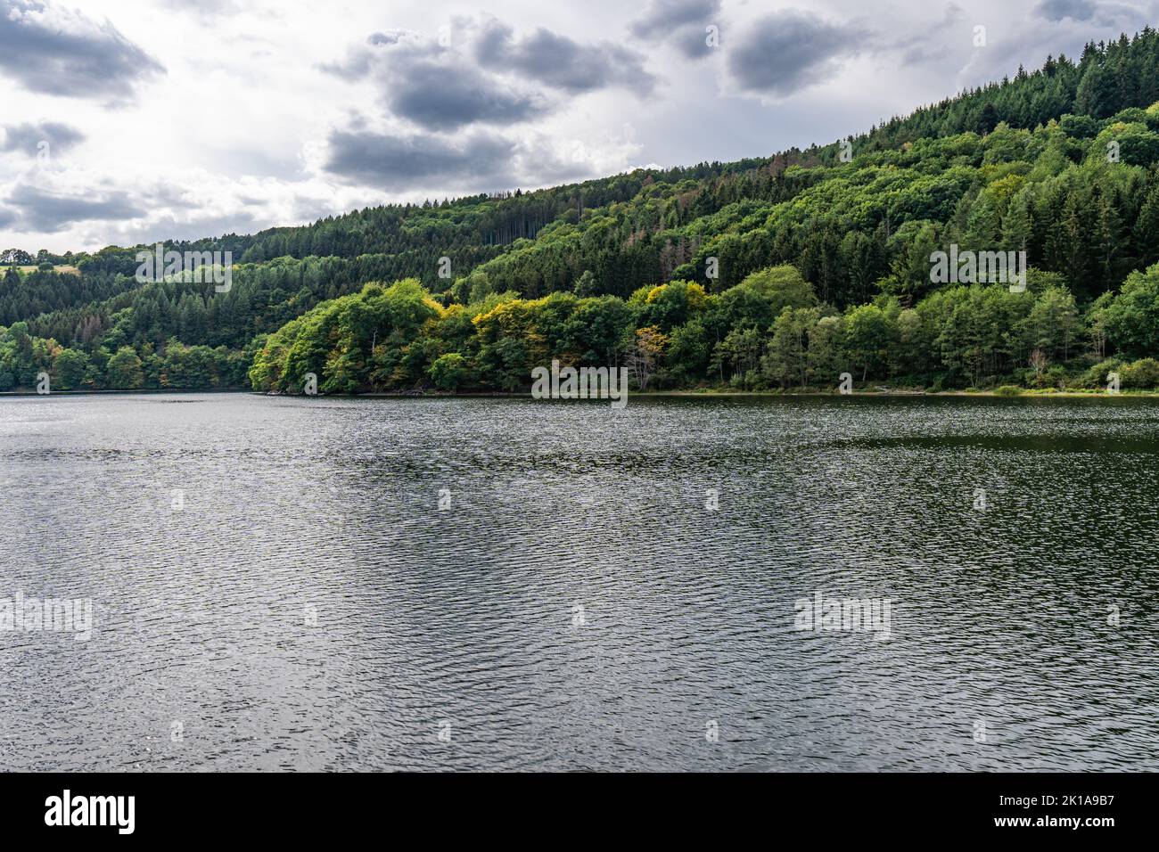 Lake Rursee, In the middle of the Eifel National Park, surrounded by ...