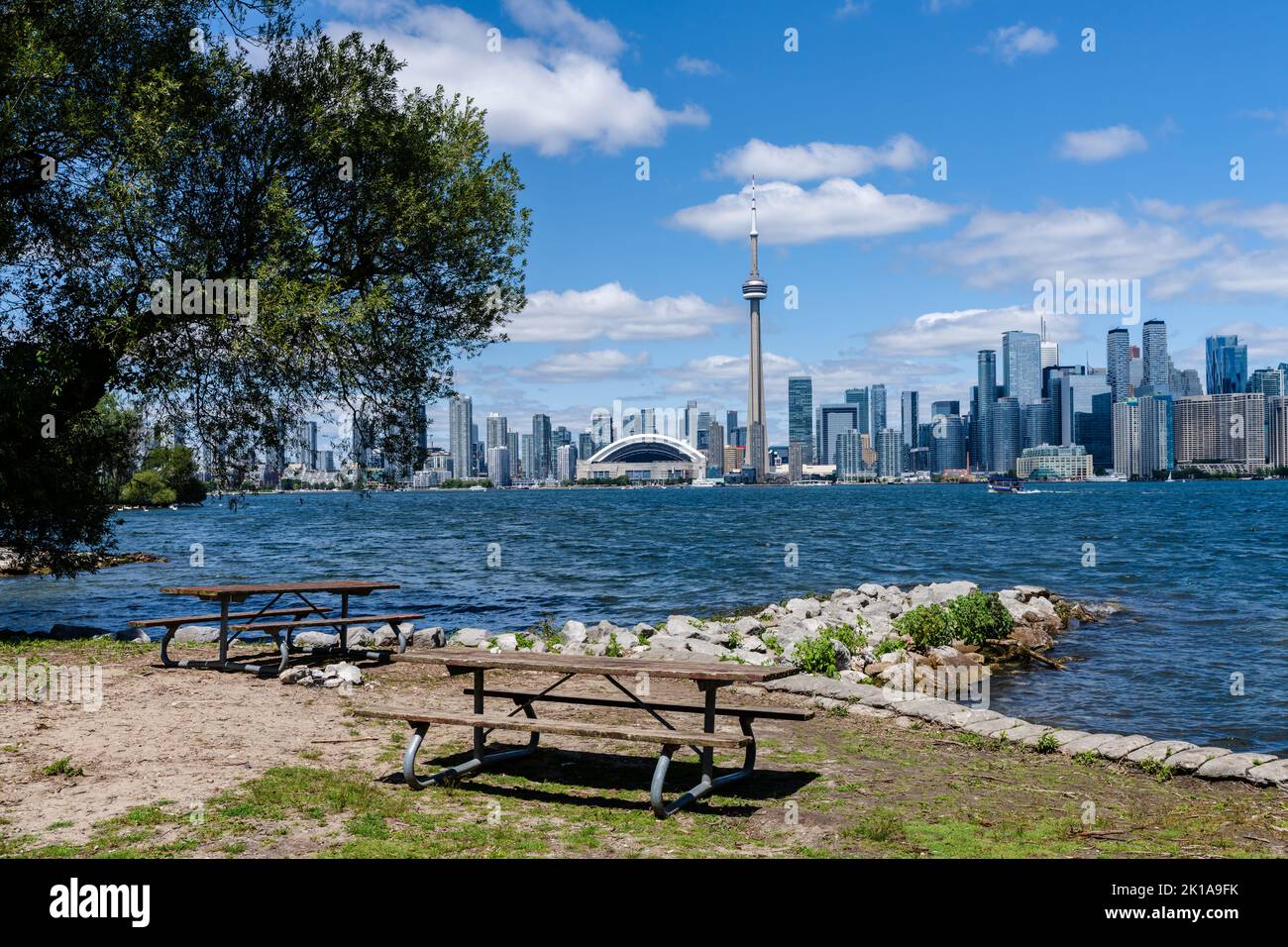 Toronto Island Park Wooden Bench. Toronto City downtown skyline in the ...